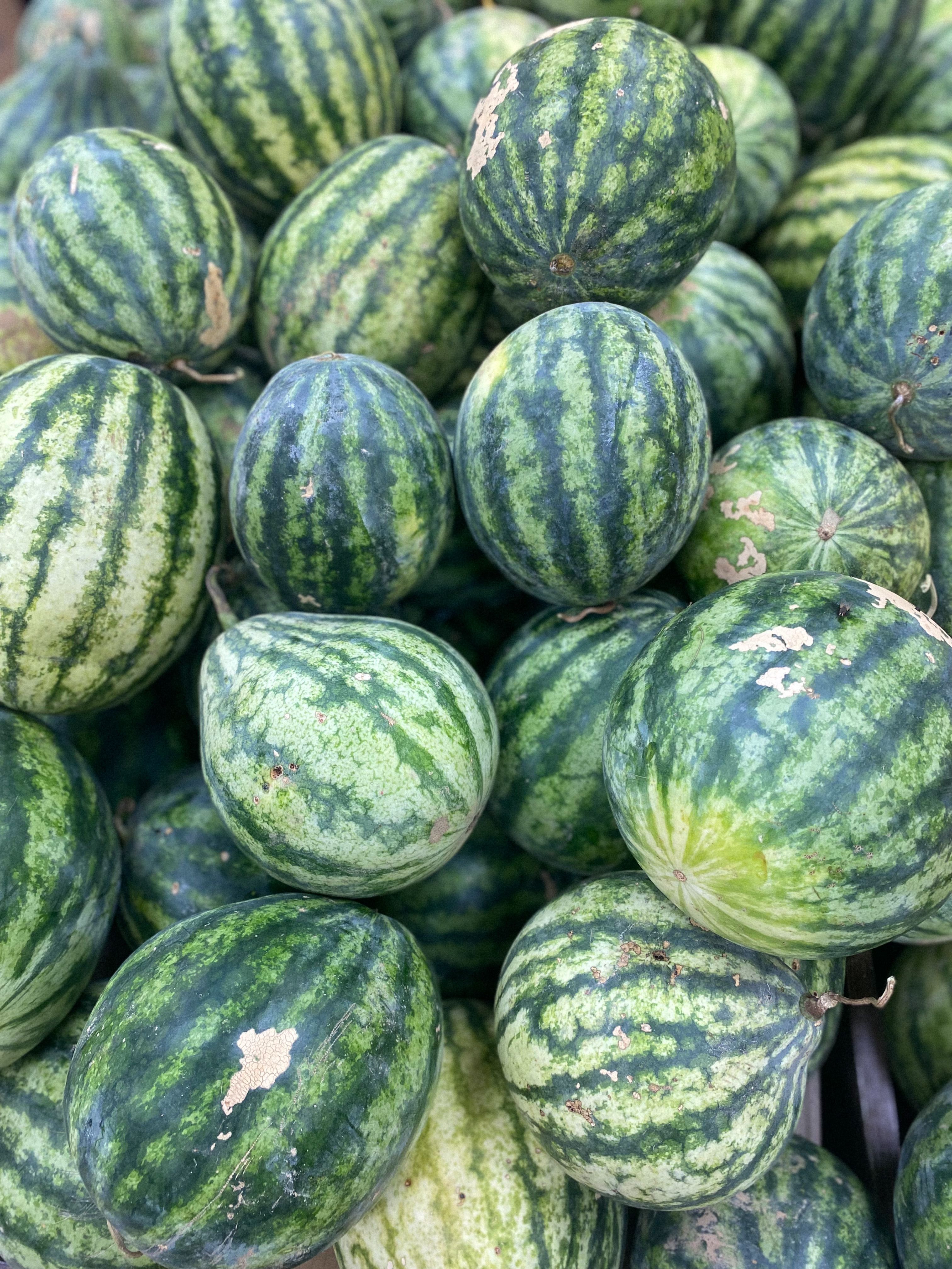 Summer Food Photos, Download The BEST Free Summer Food Stock Photos ...