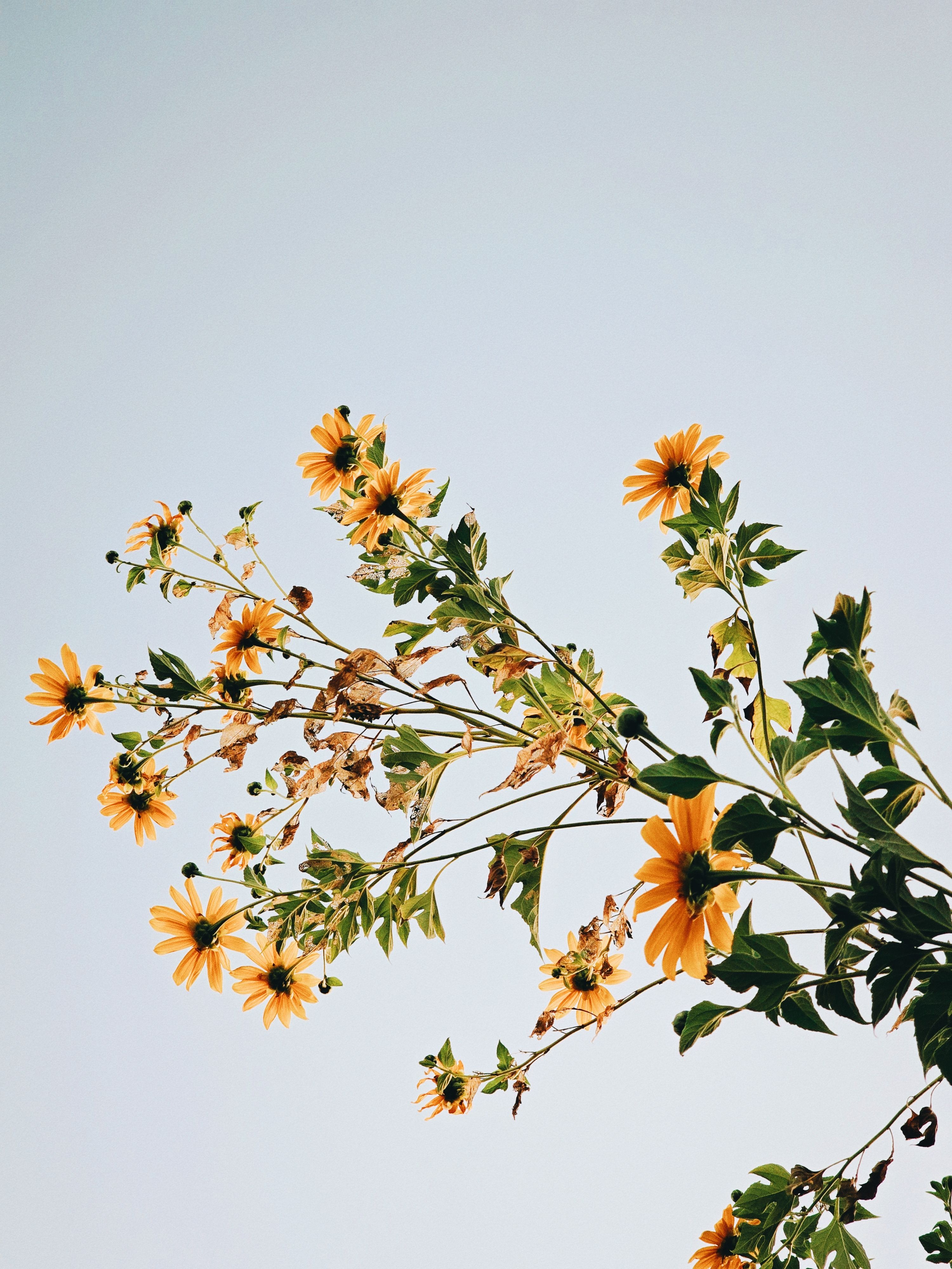 Wallpaper Inspo Photos, Download The BEST Free Wallpaper Inspo Stock ...