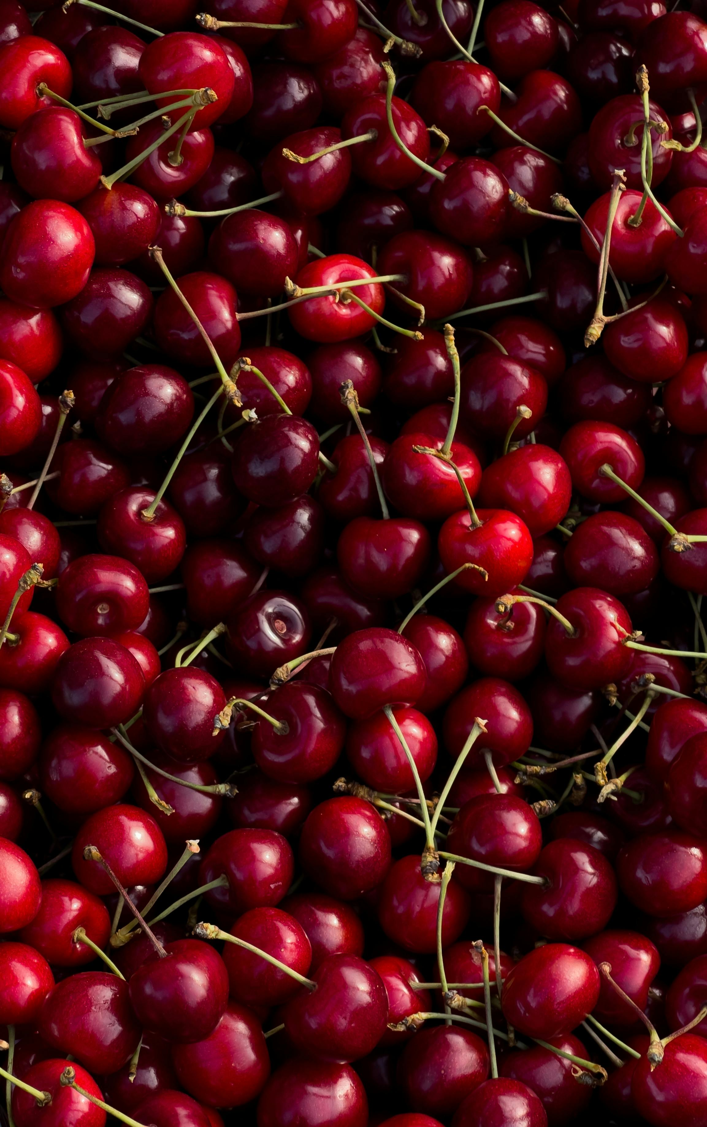 Red Color Photos, Download The BEST Free Red Color Stock Photos & HD Images