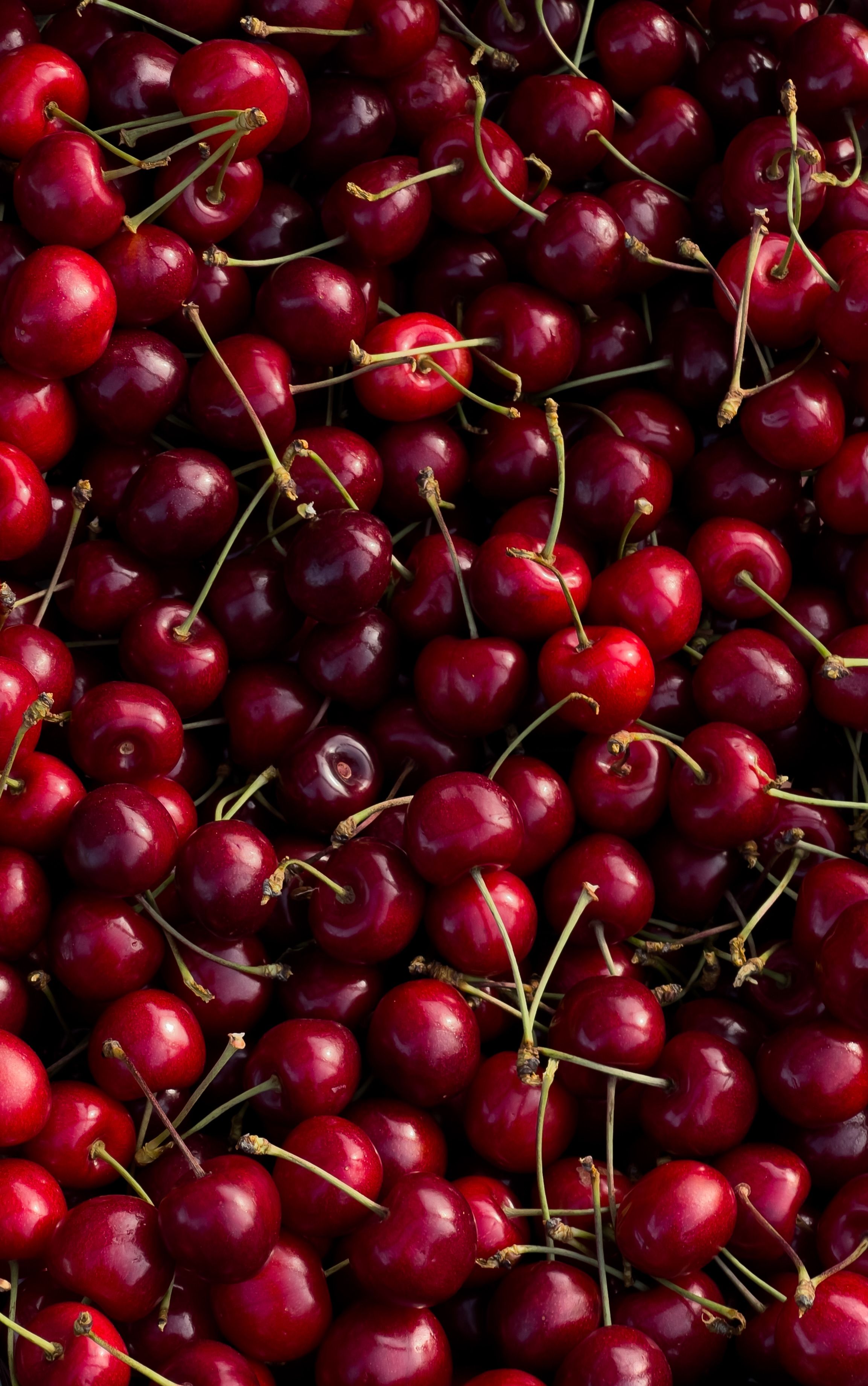 Cherry Market Photos, Download The BEST Free Cherry Market Stock Photos ...