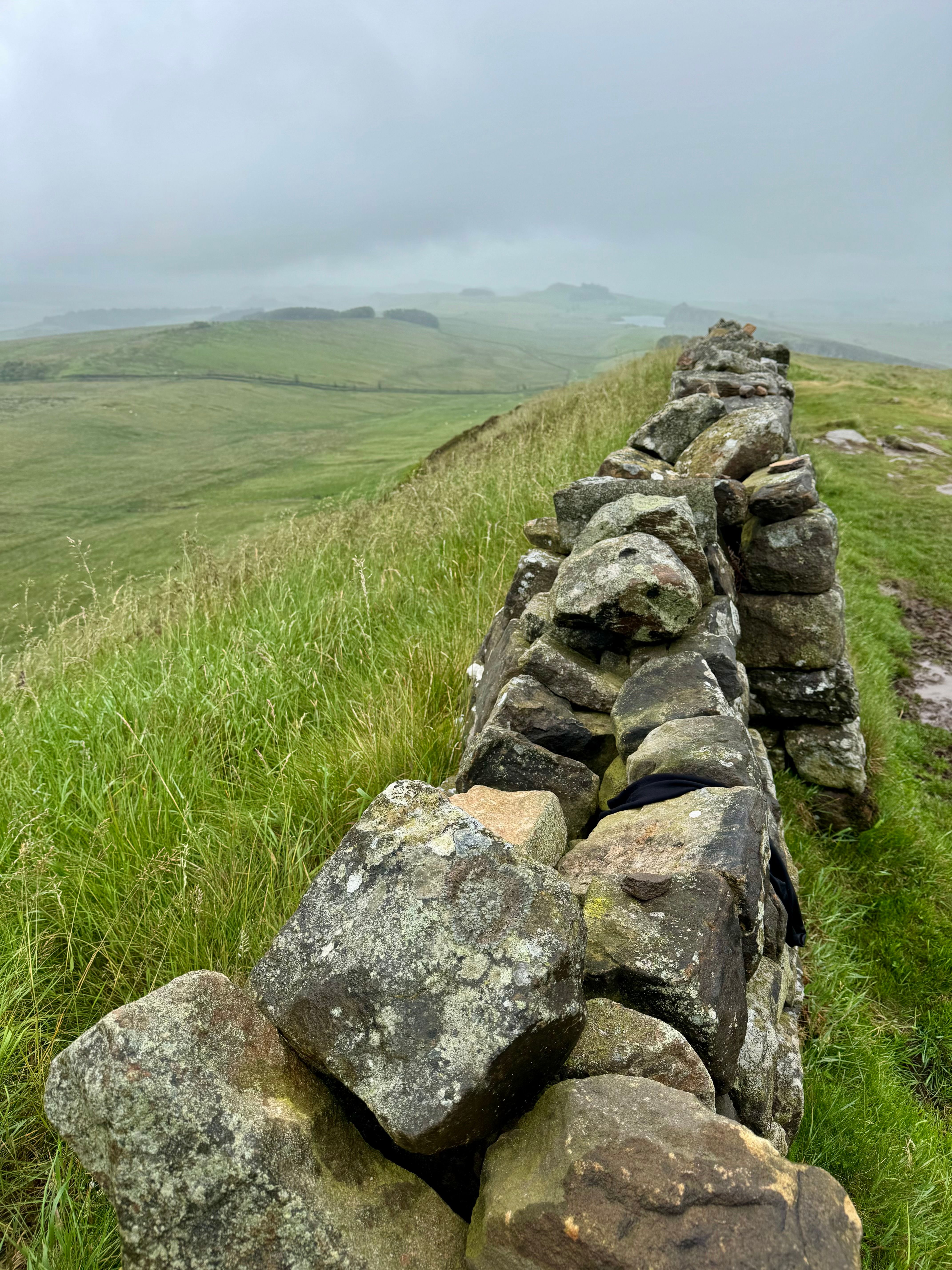 Wall And Grass Photos, Download The BEST Free Wall And Grass Stock ...