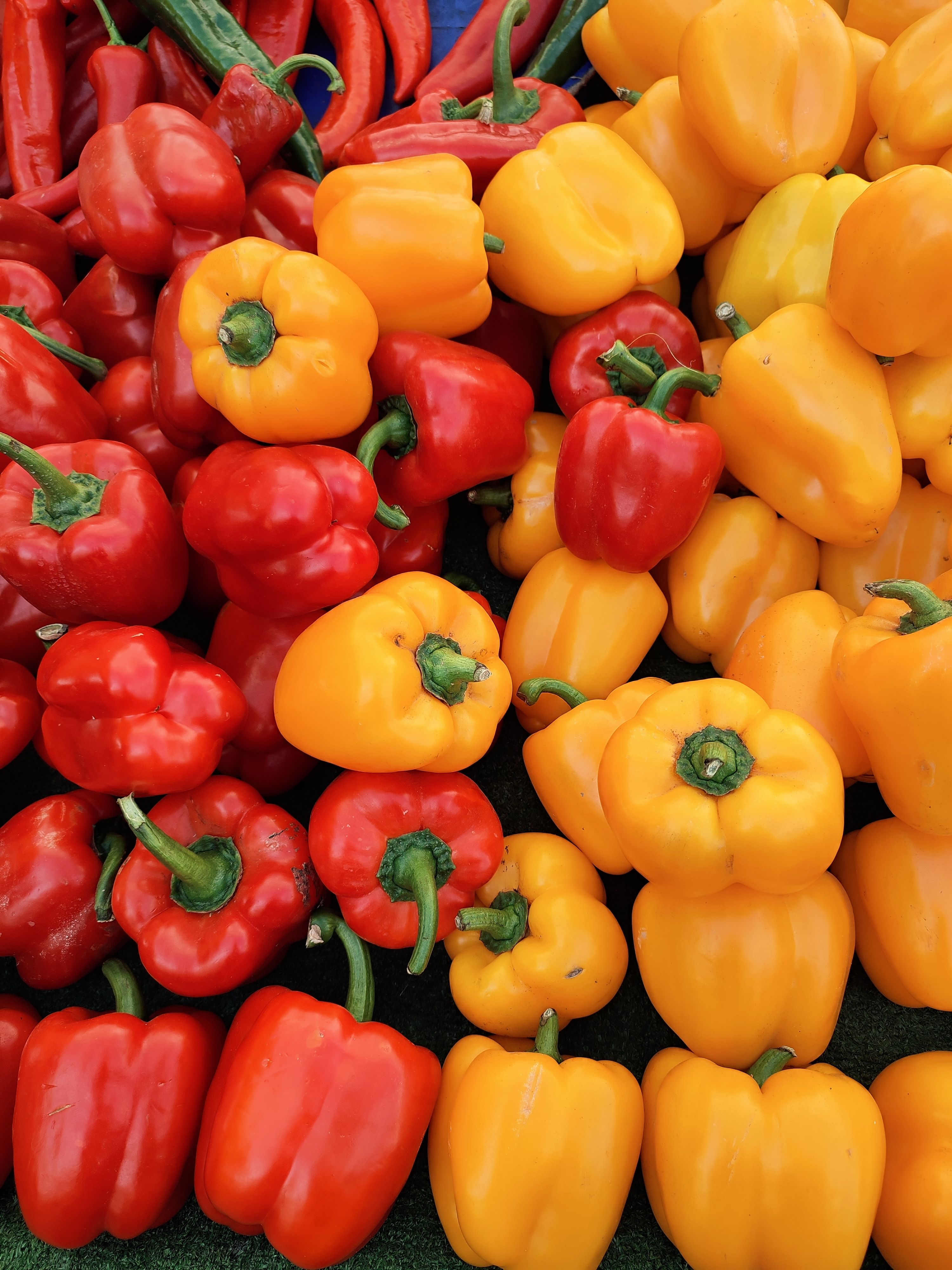 Colorful Red and Yellow Bell Peppers Display · Free Stock Photo