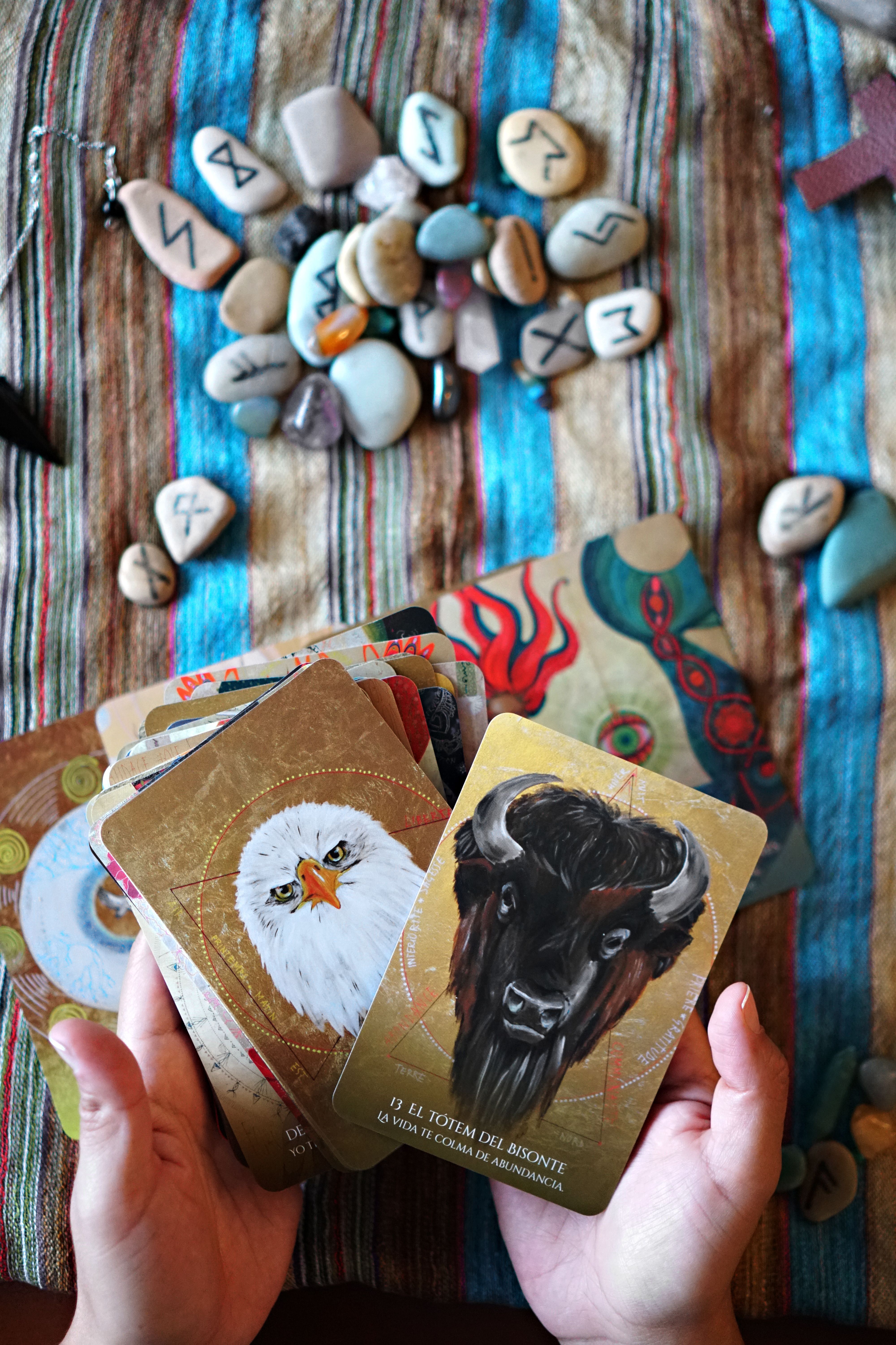 Tarot Reading with Animal Spirit Cards · Free Stock Photo