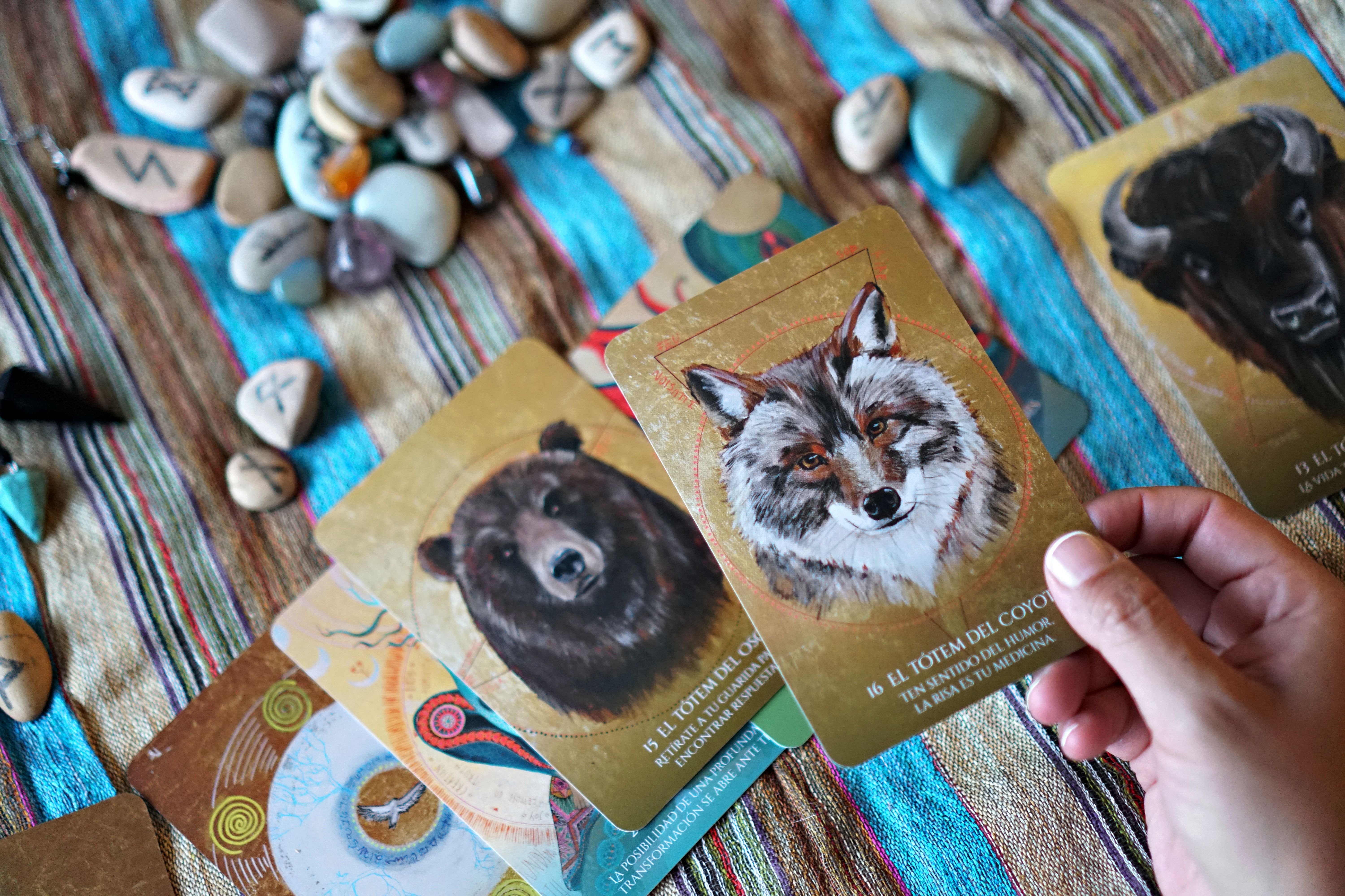 Mystical Animal Spirit Cards with Stones · Free Stock Photo