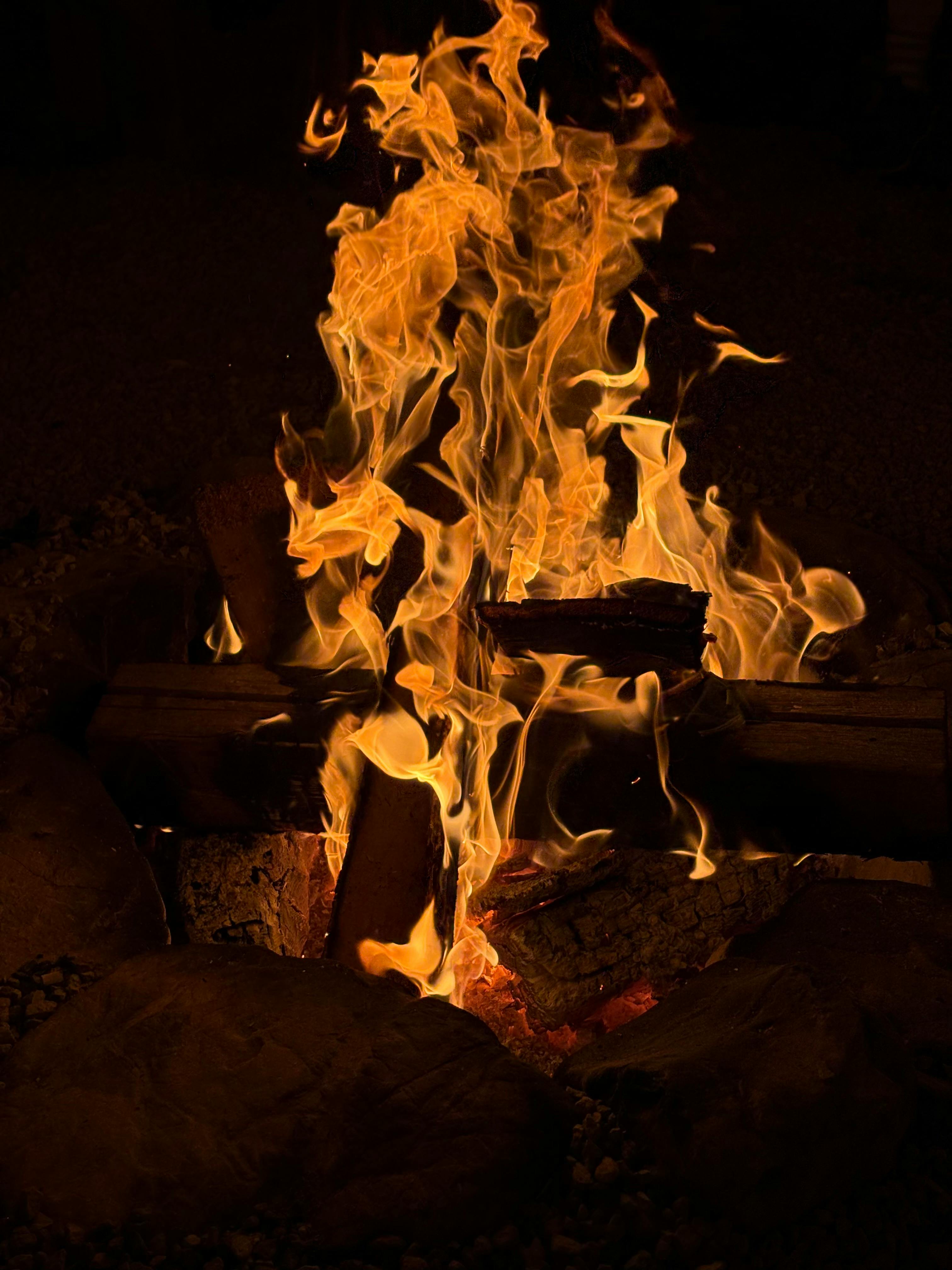 Cozy Campfire Flames in the Dark Night · Free Stock Photo