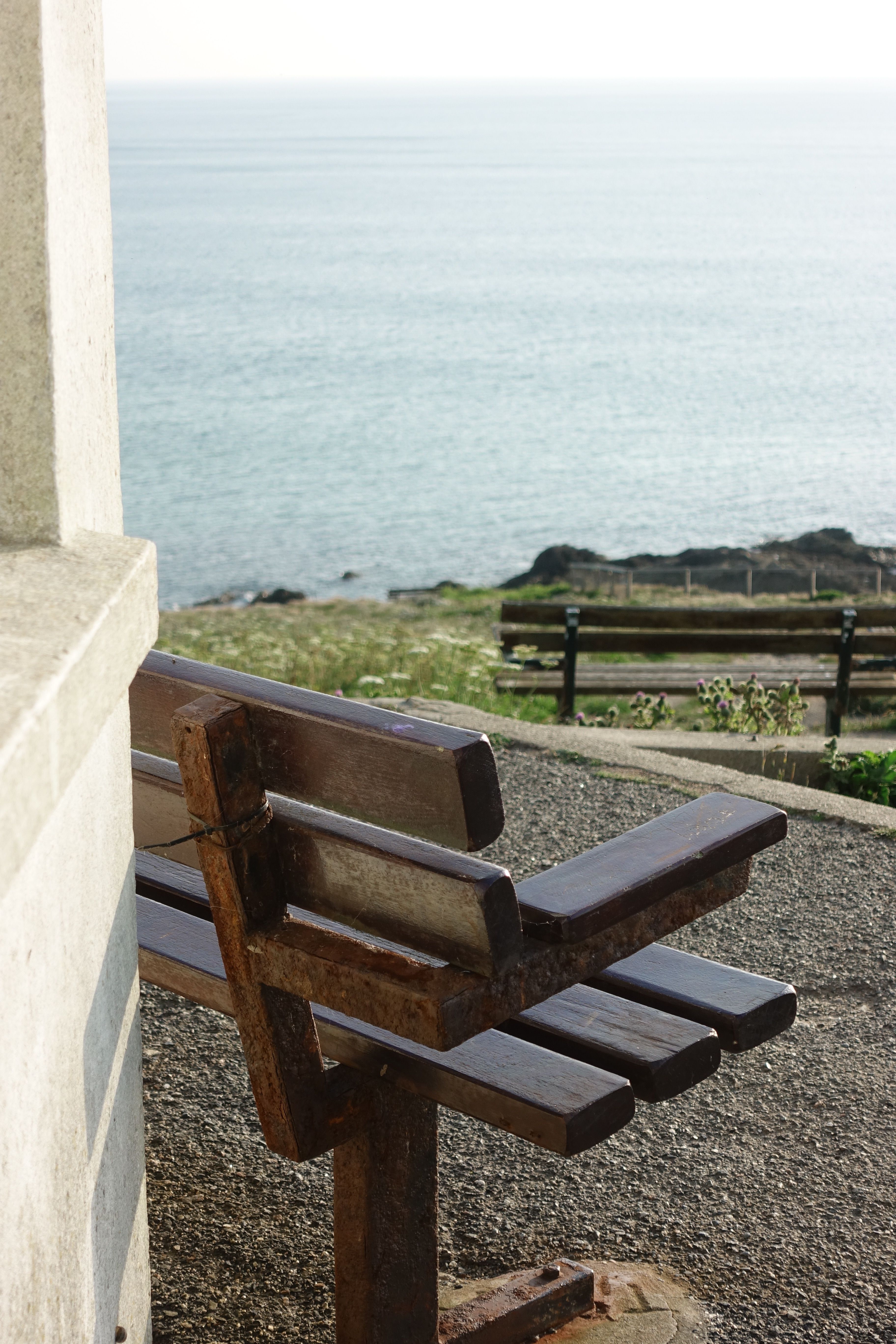 Rustic Bench Overlooking Ocean Coastline · Free Stock Photo