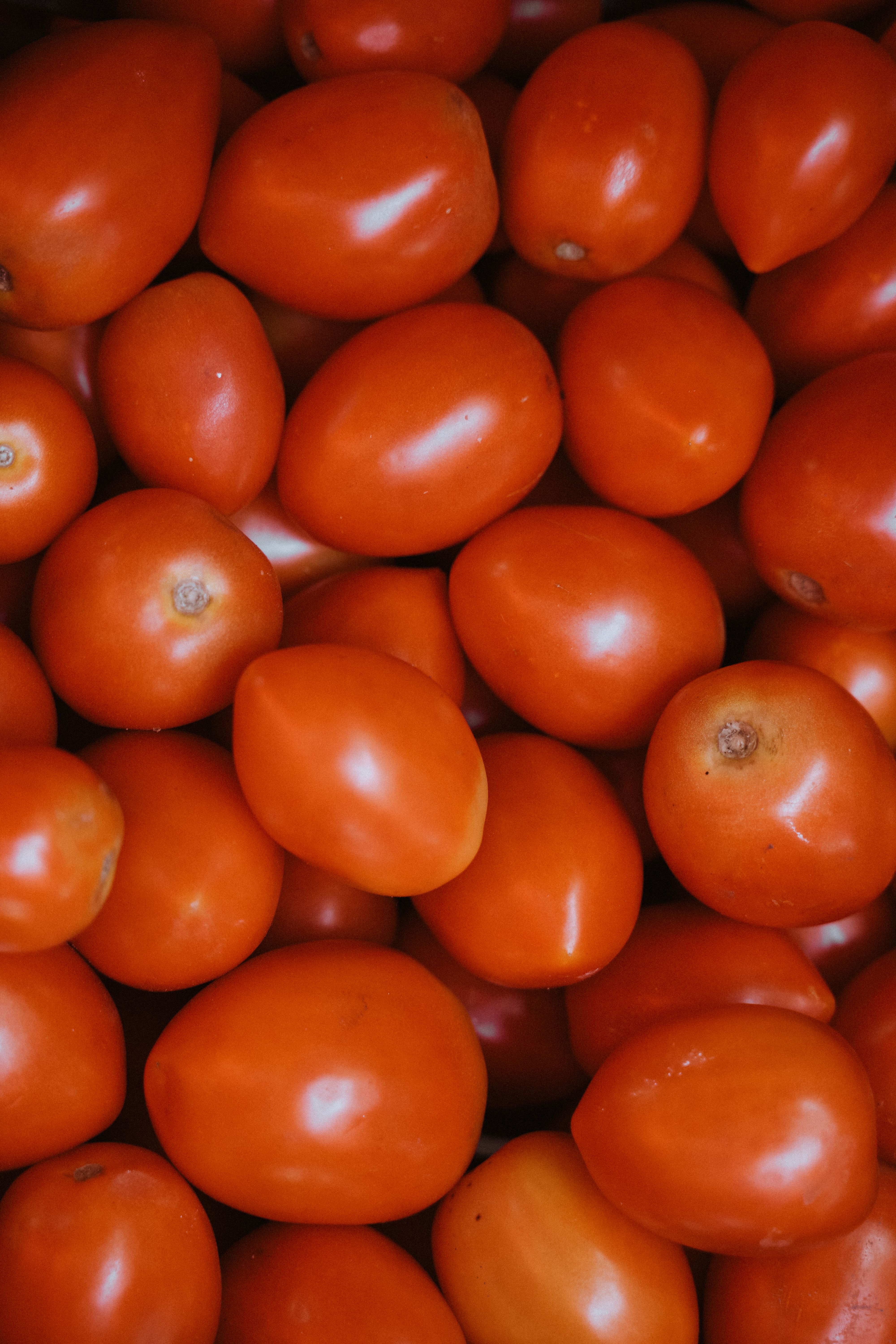 Fresh Ripe Roma Tomatoes in Abundance · Free Stock Photo