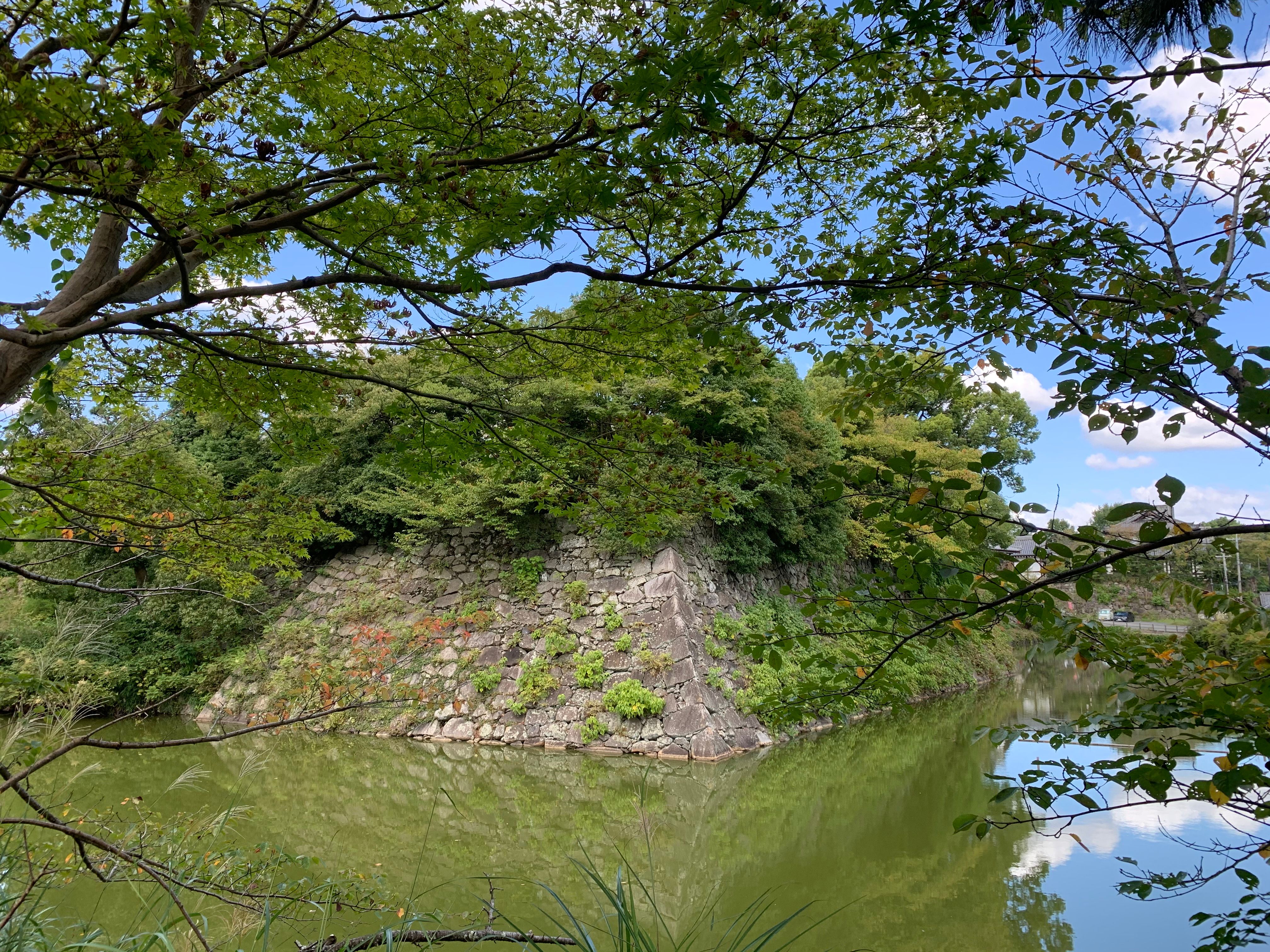Serene Moat Surrounding Historic Stone Wall · Free Stock Photo