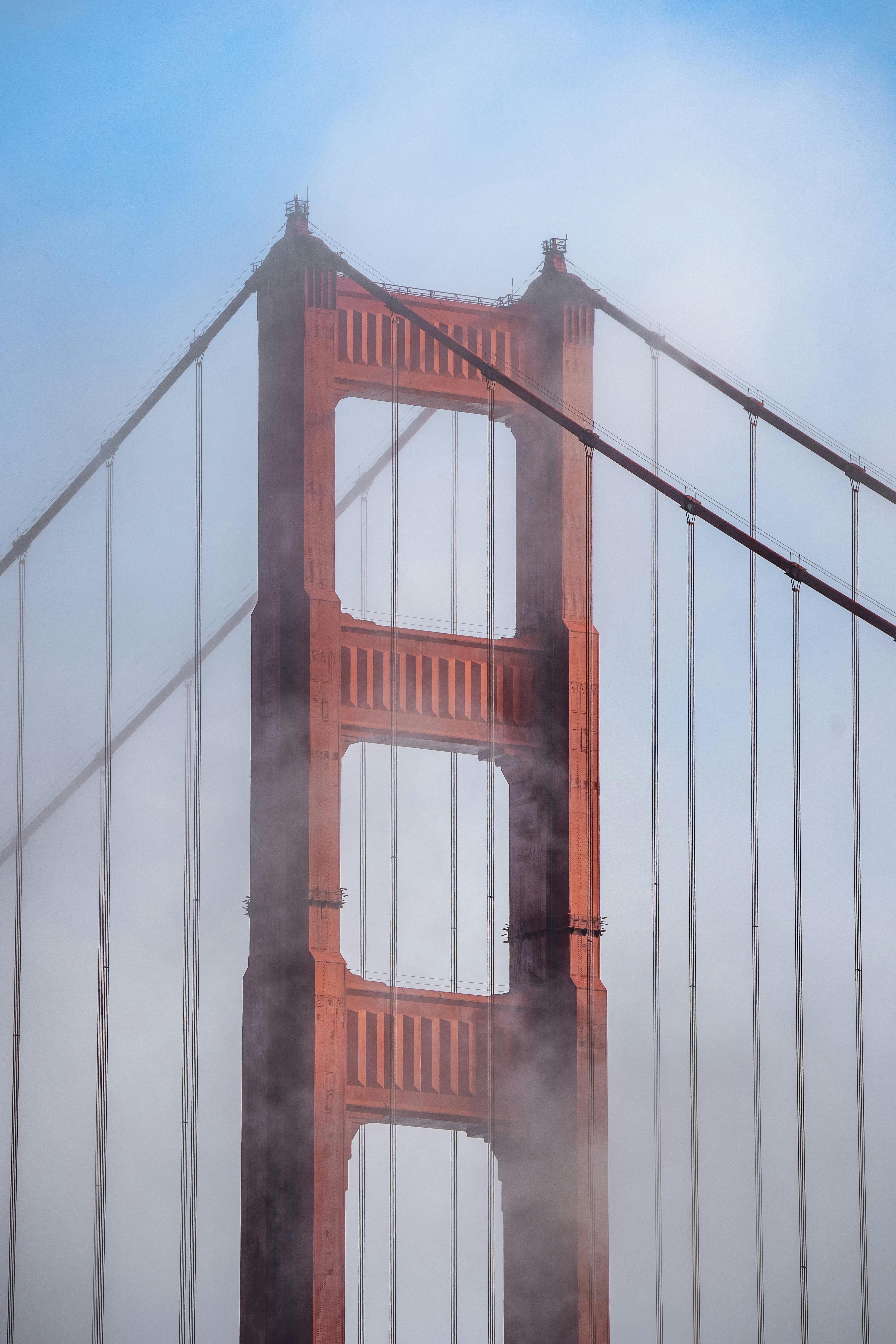 Pixel+Bay Photos, Download The BEST Free Pixel+Bay Stock Photos & HD Images