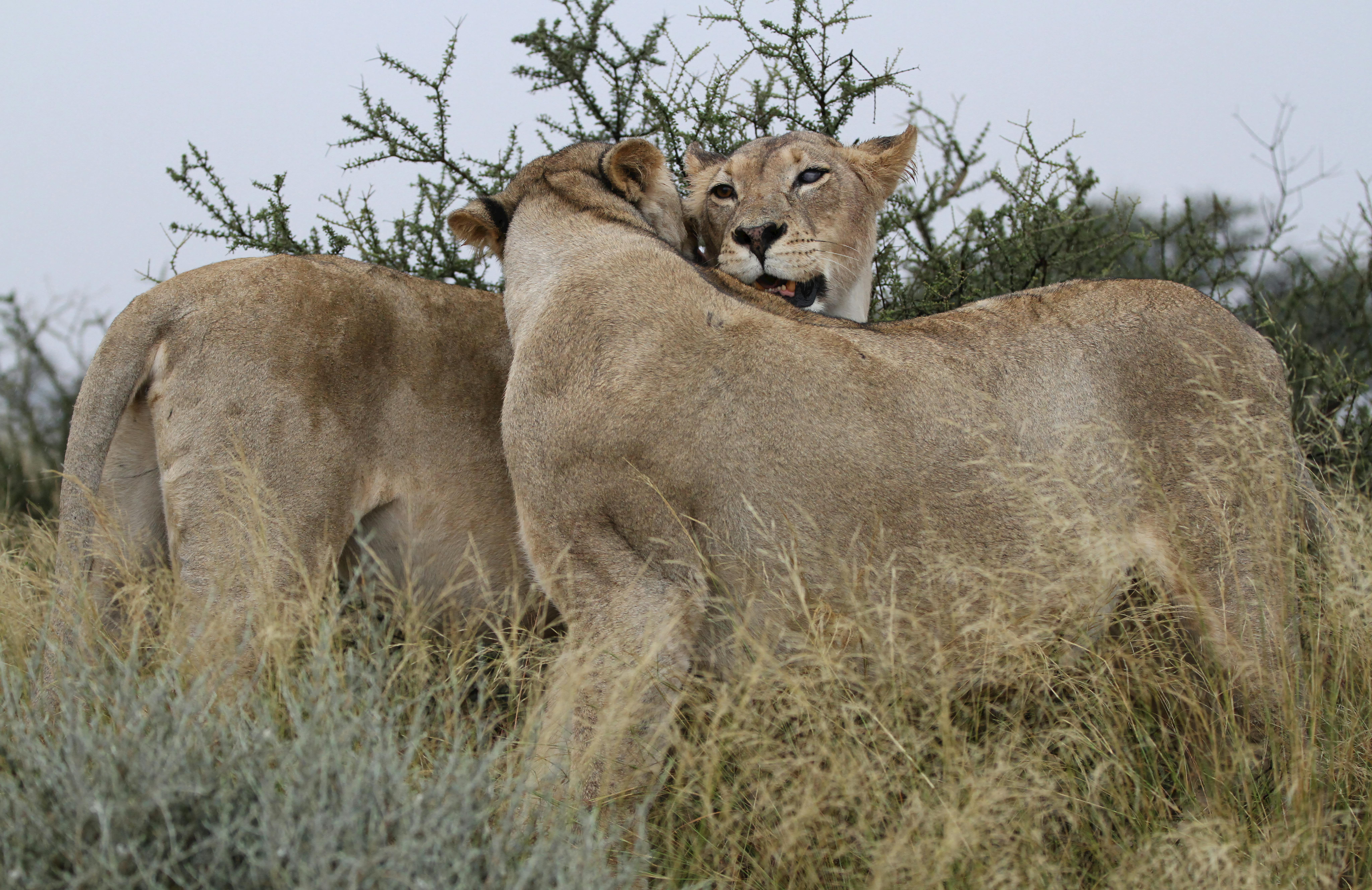 Rubbings Photos, Download The BEST Free Rubbings Stock Photos & HD Images