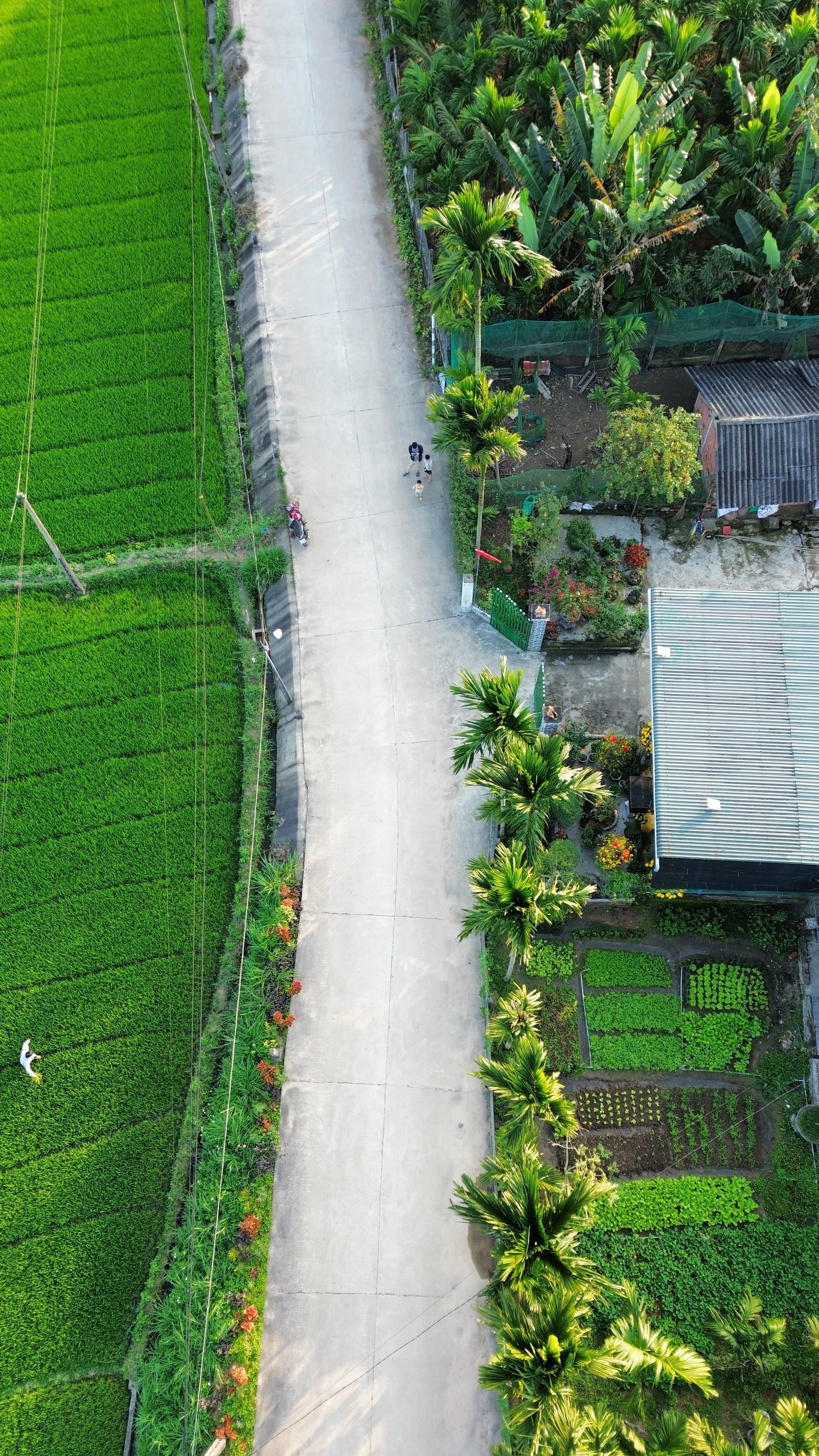 Rural Area Photos, Download The BEST Free Rural Area Stock Photos & HD ...