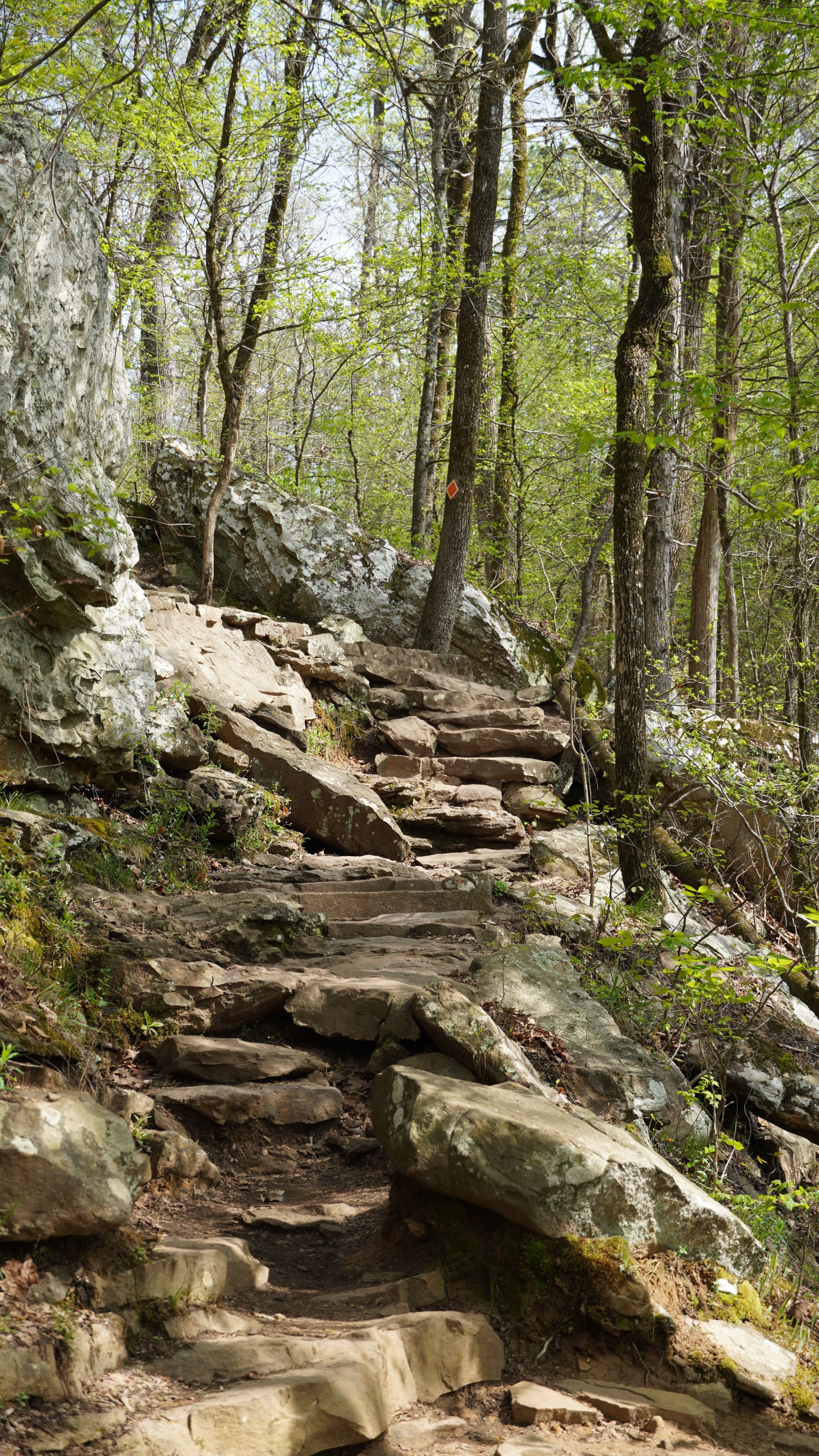 Scenic Forest Pathway with Natural Rock Formations · Free Stock Photo