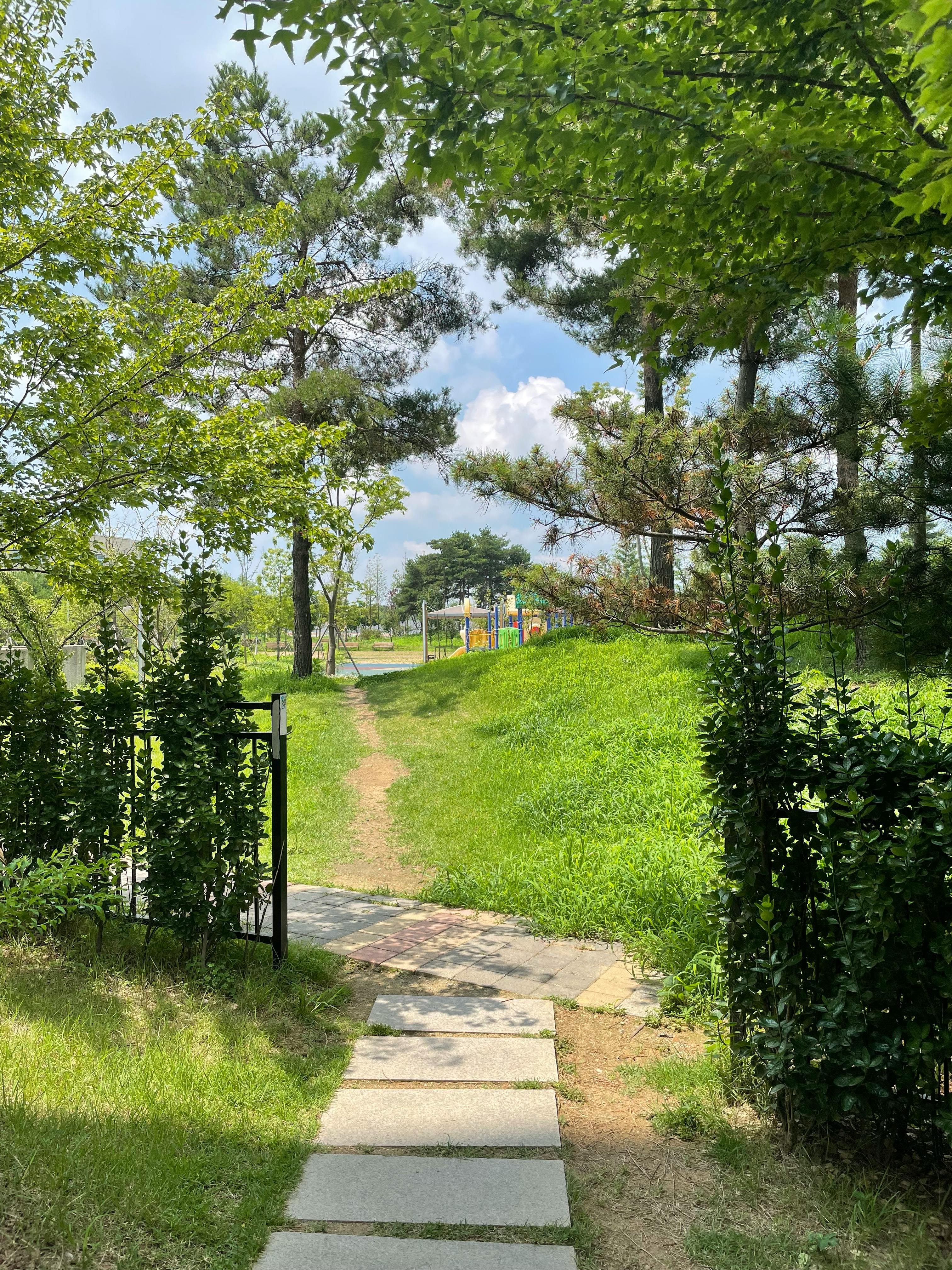 Idyllic Park Pathway on a Sunny Day · Free Stock Photo