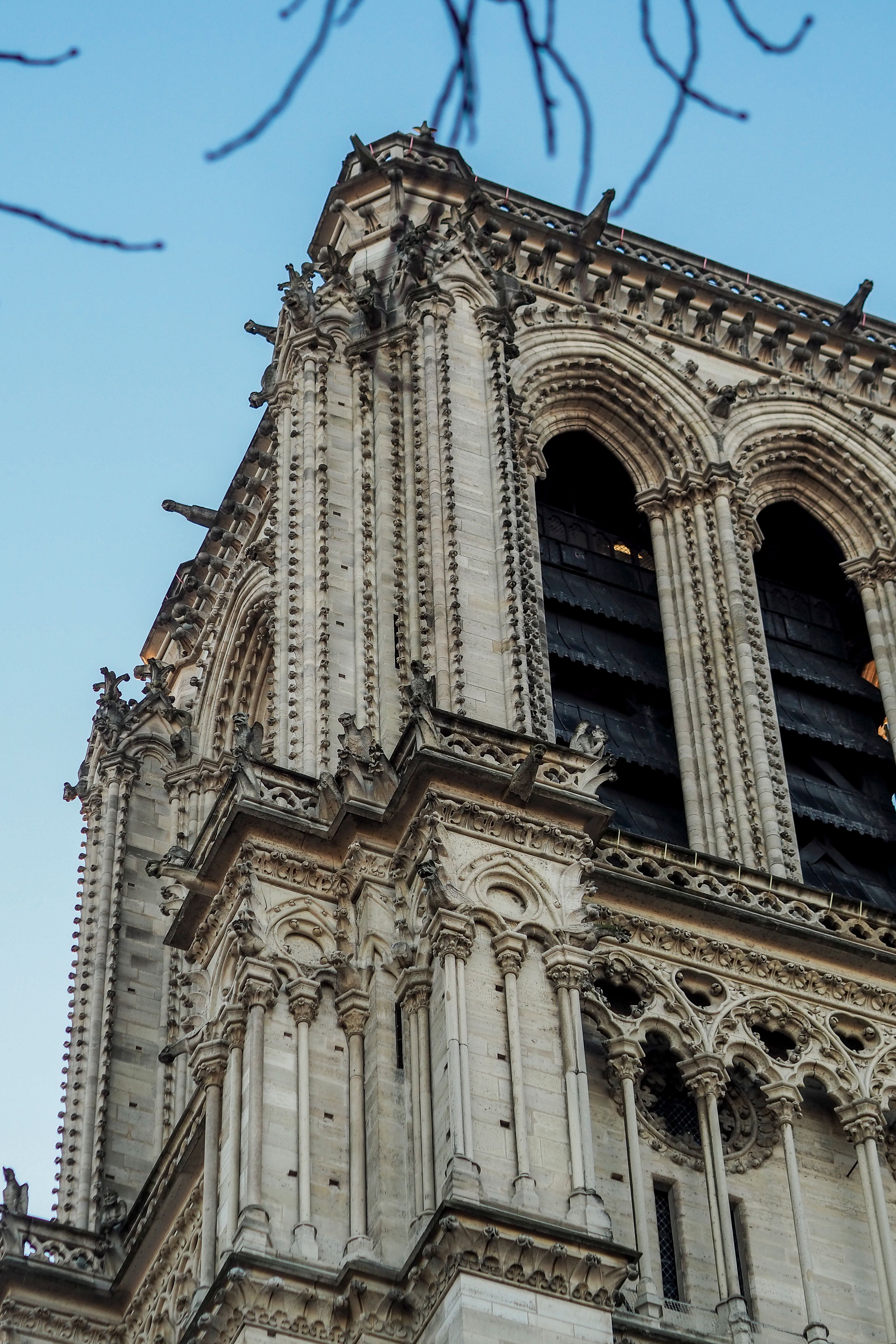 Gothic Architecture of Notre Dame Cathedral · Free Stock Photo