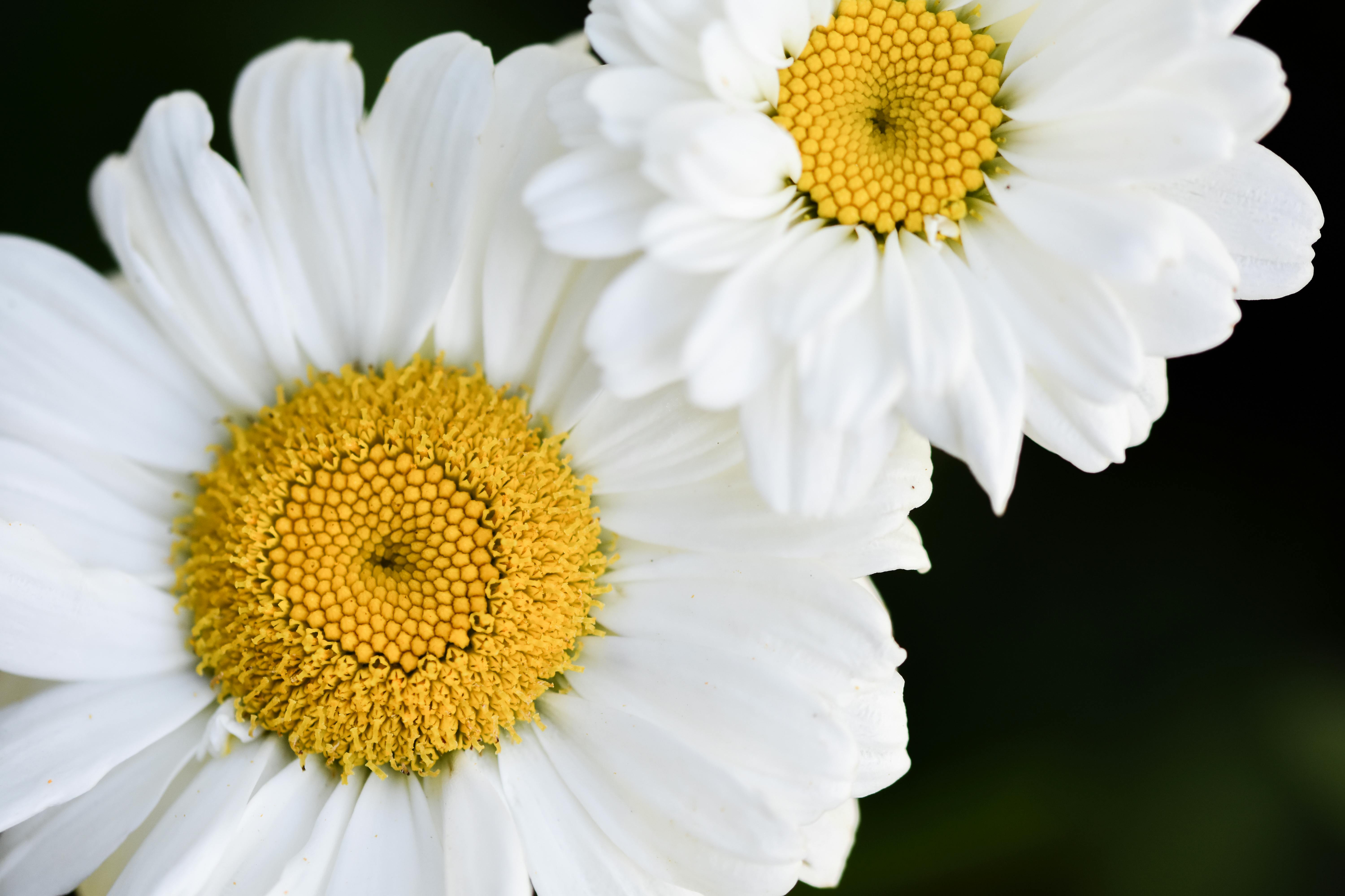 P+Diddy+Wallpaper Photos, Download The BEST Free P+Diddy+Wallpaper ...