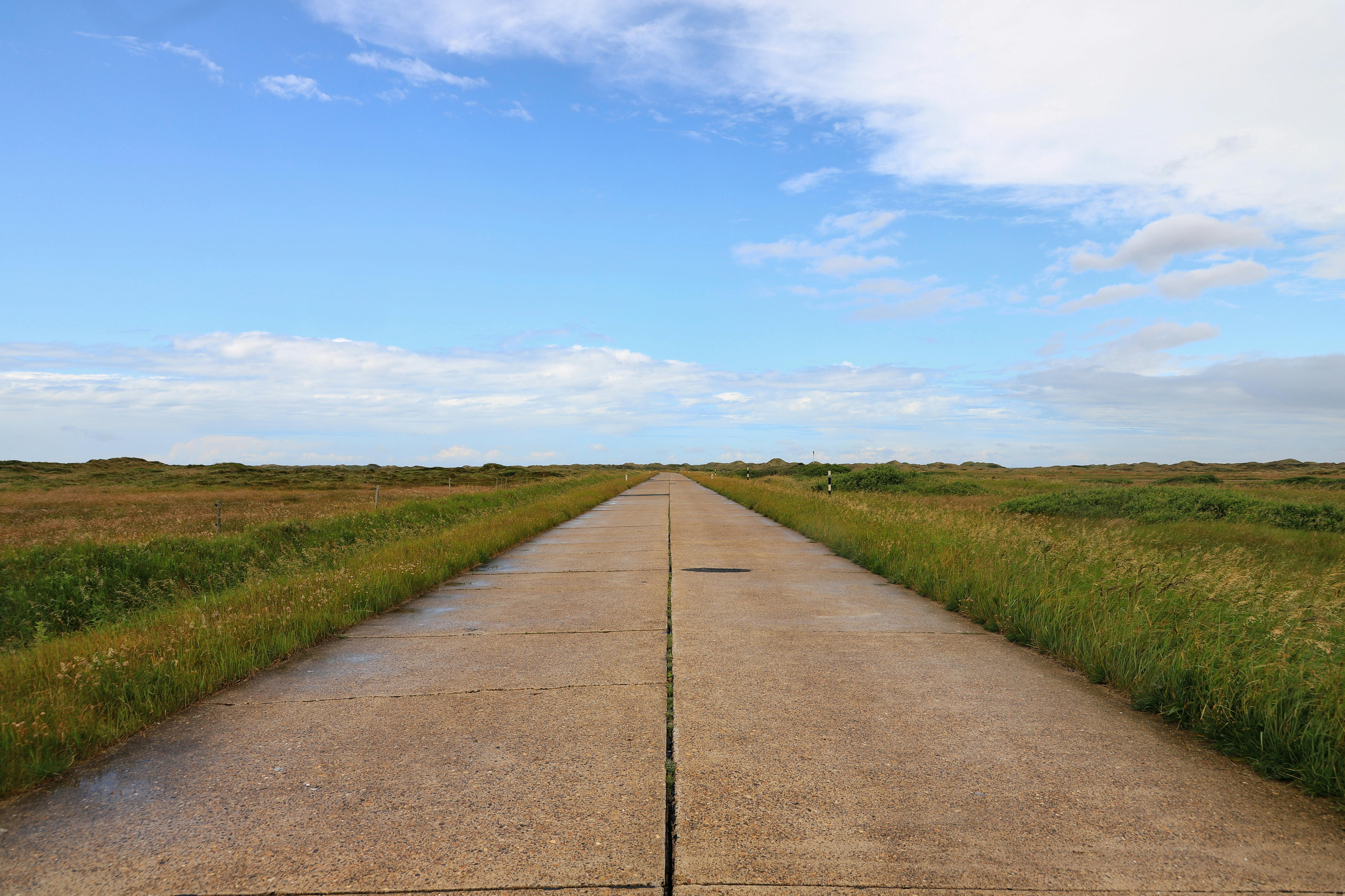 Endless Country Road in Danish Landscape · Free Stock Photo