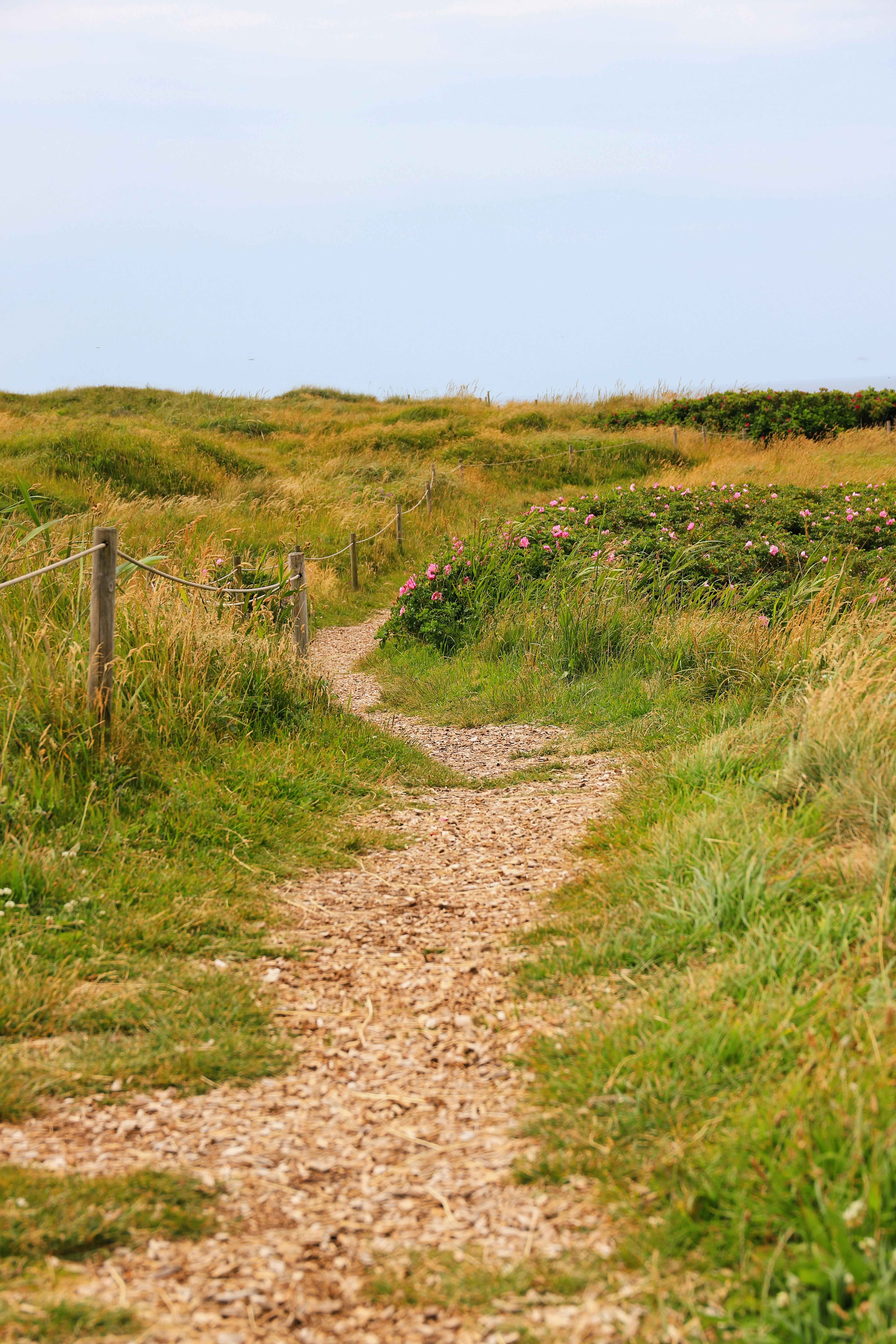 Scenic Coastal Pathway in Danish Countryside · Free Stock Photo