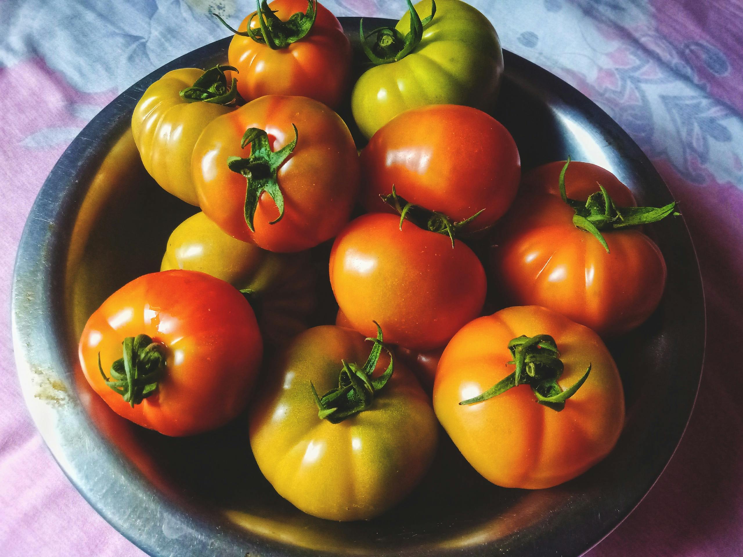 Silver+Starlets+Rikki+Prple+Dress Photos, Download The BEST Free Silver ...