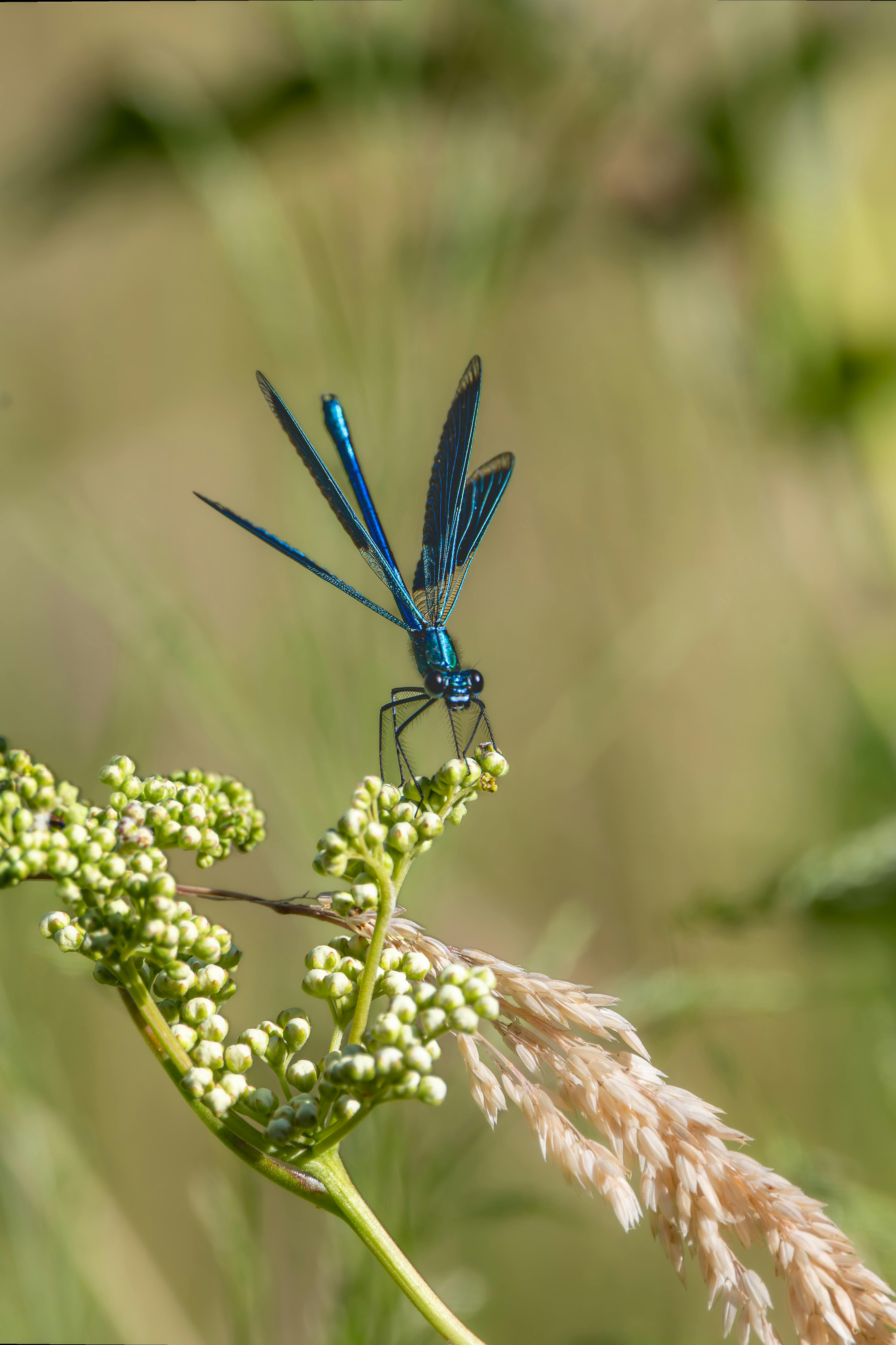 Intro Background Photos, Download The BEST Free Intro Background Stock ...