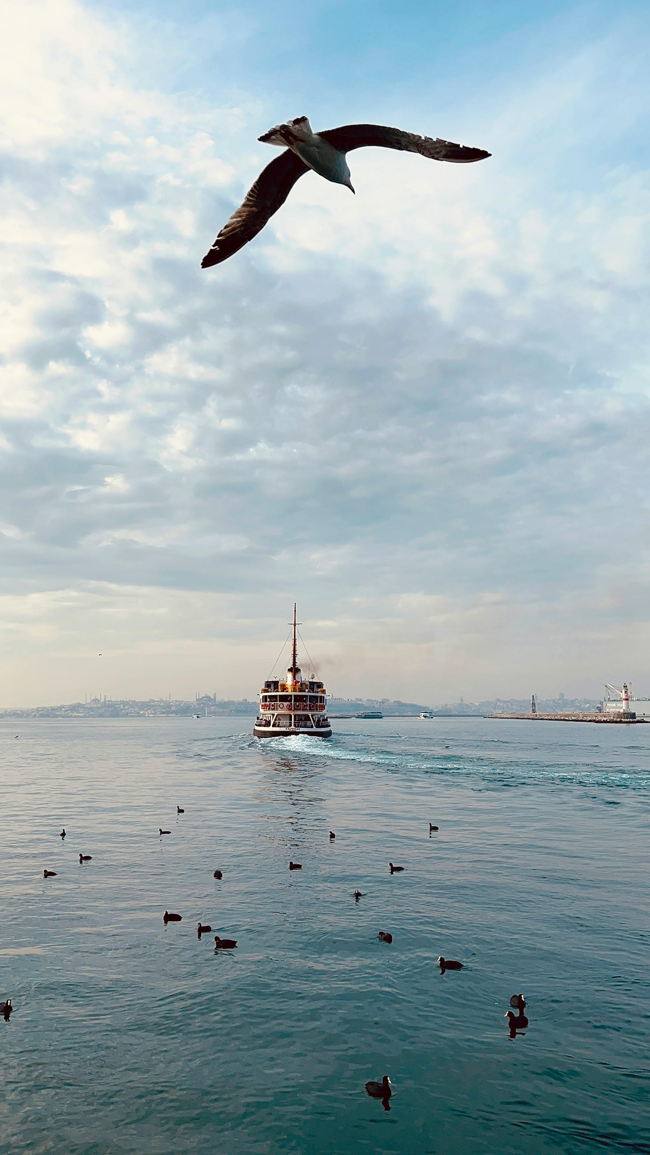 Free Thumbnail Photos, Download The BEST Free Free Thumbnail Stock ...