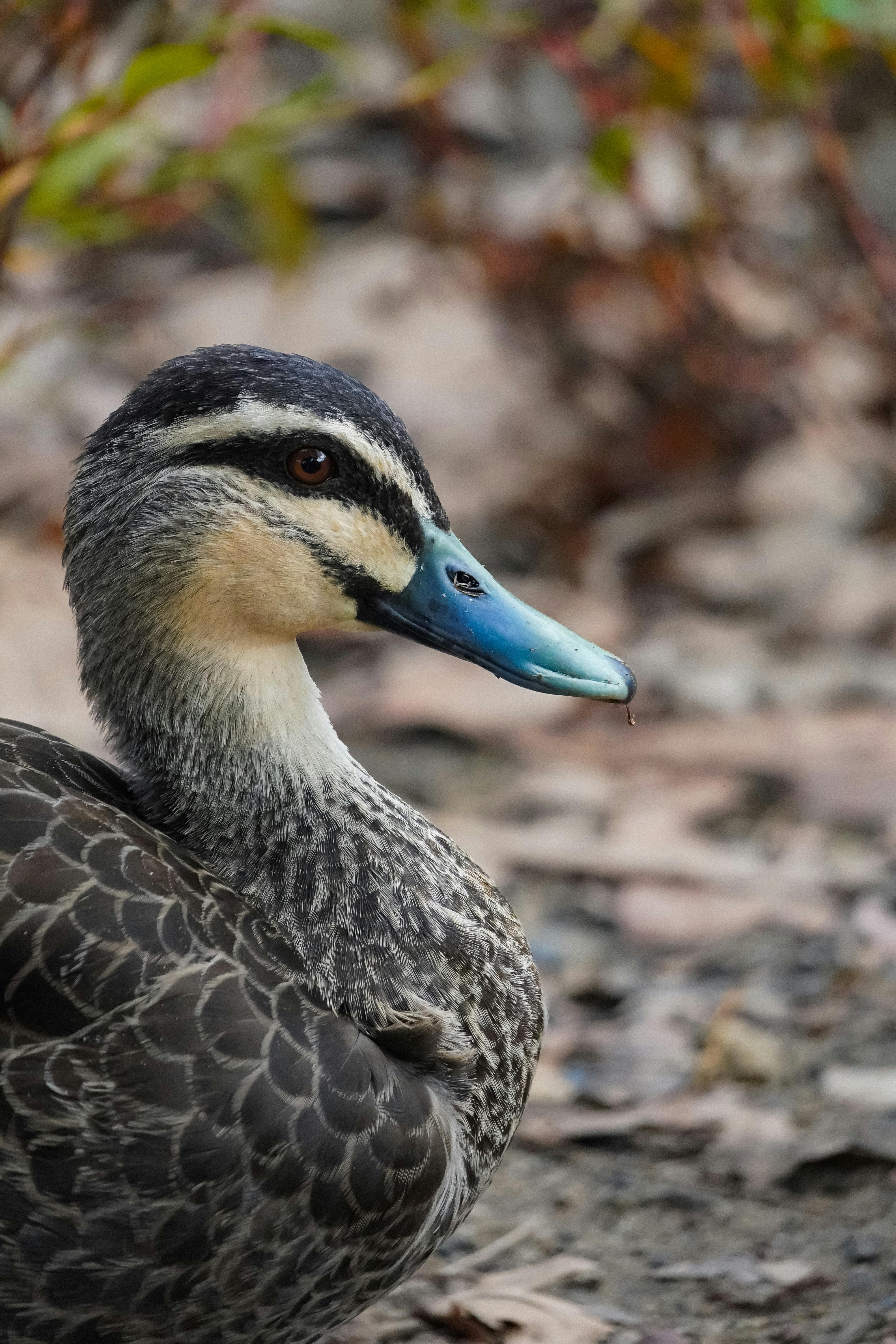 Neck Mold Photos, Download The BEST Free Neck Mold Stock Photos & HD Images