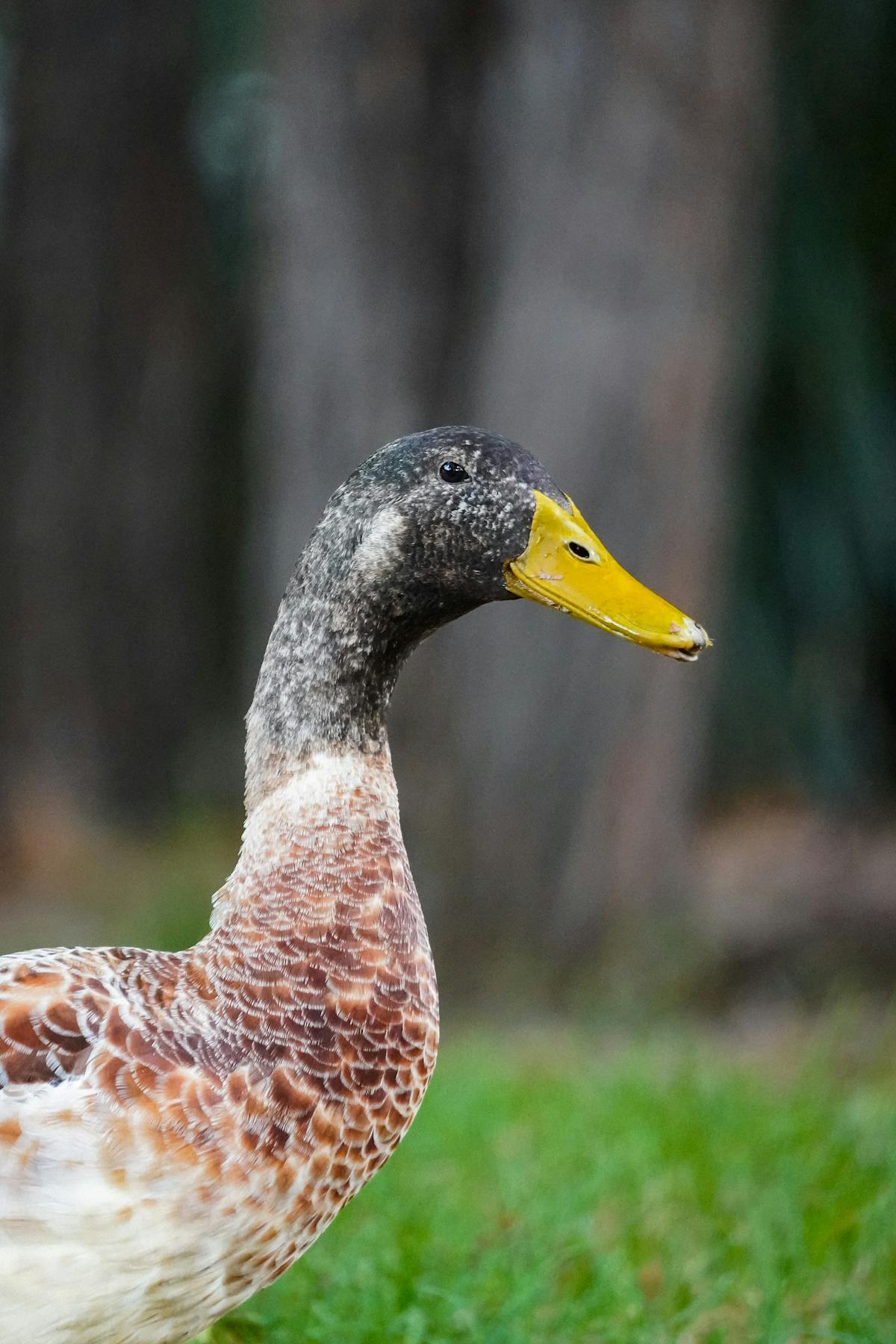 Background For Linkedin Profile Photos, Download The BEST Free ...