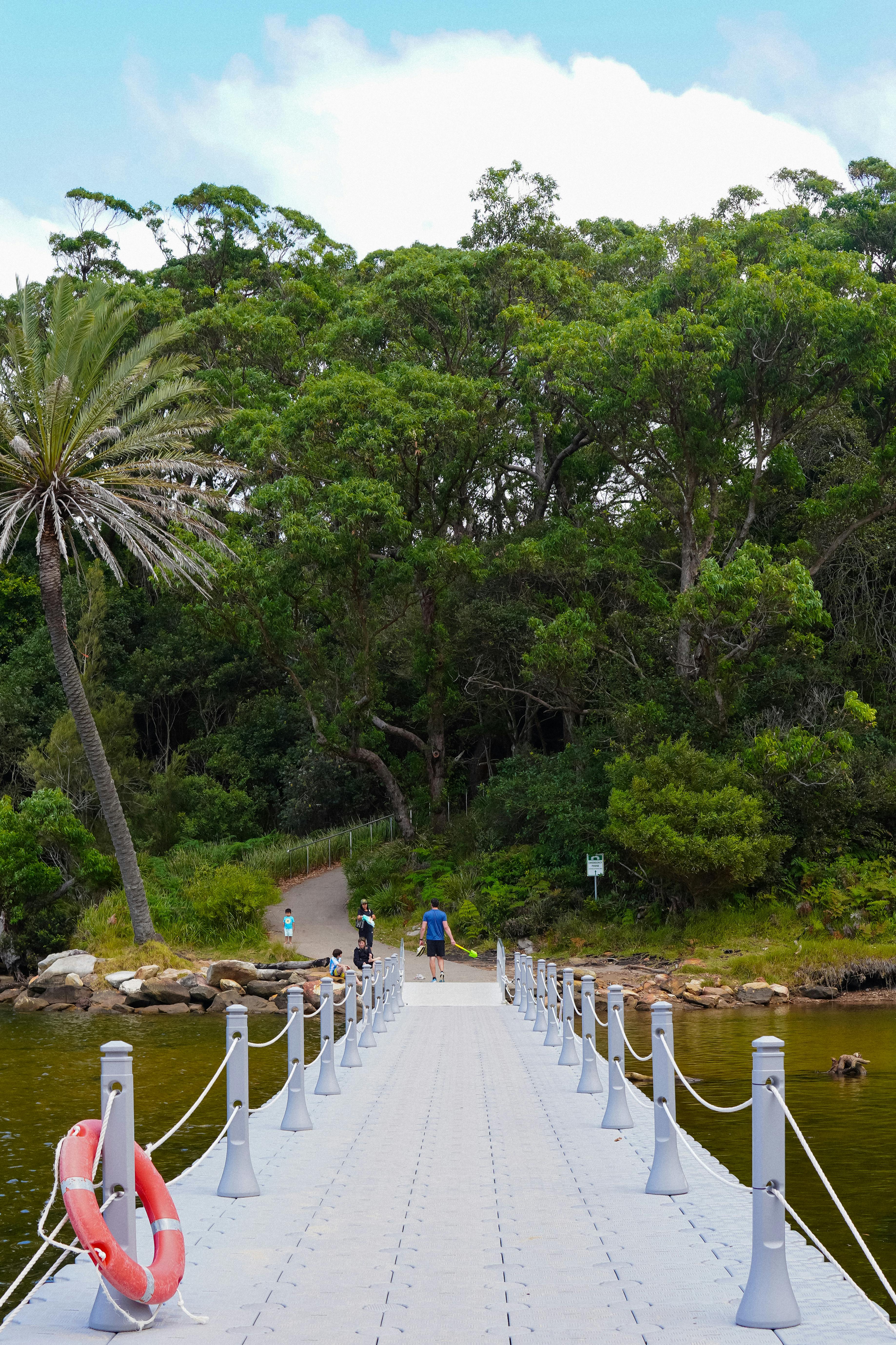Green Dock Beetles Photos, Download The BEST Free Green Dock Beetles ...
