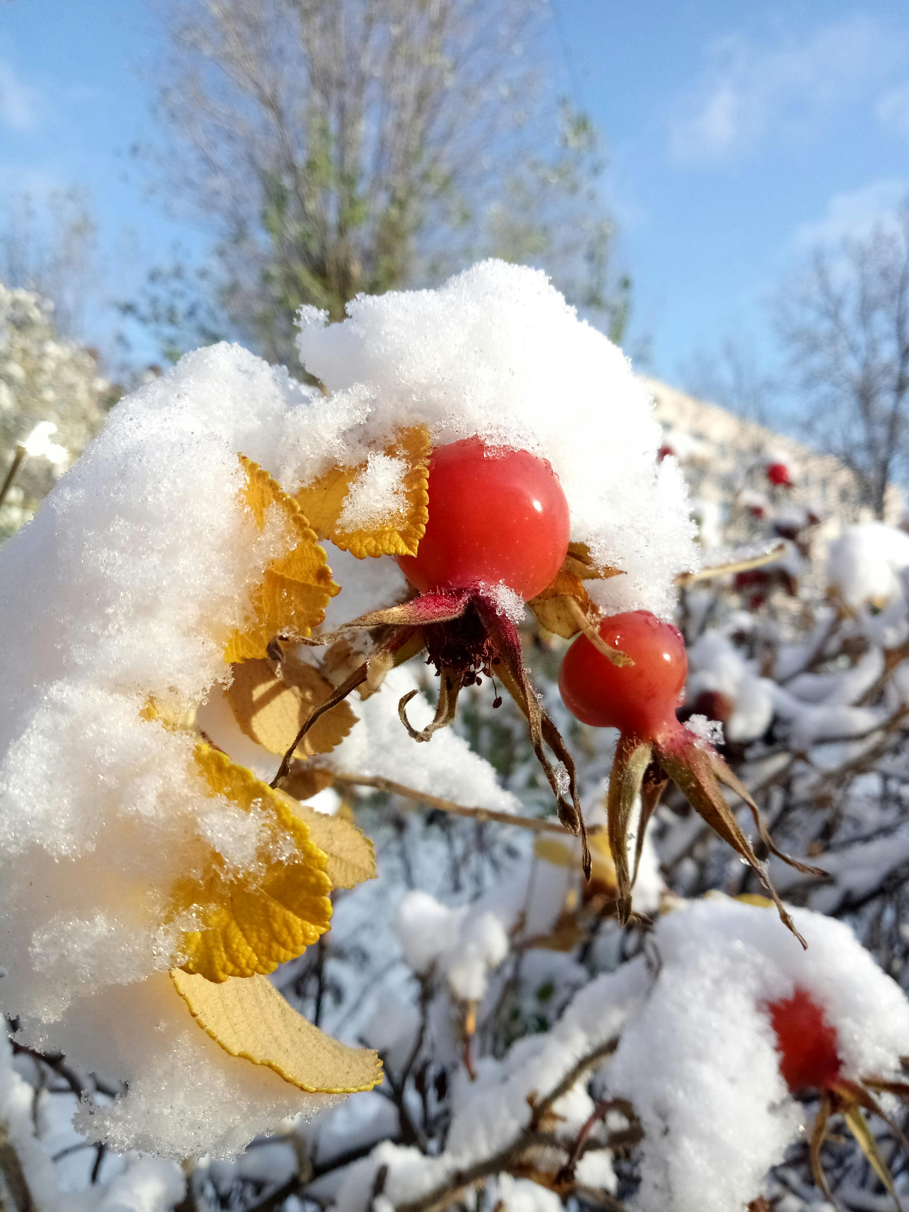 Ivan Vershinin - Photography