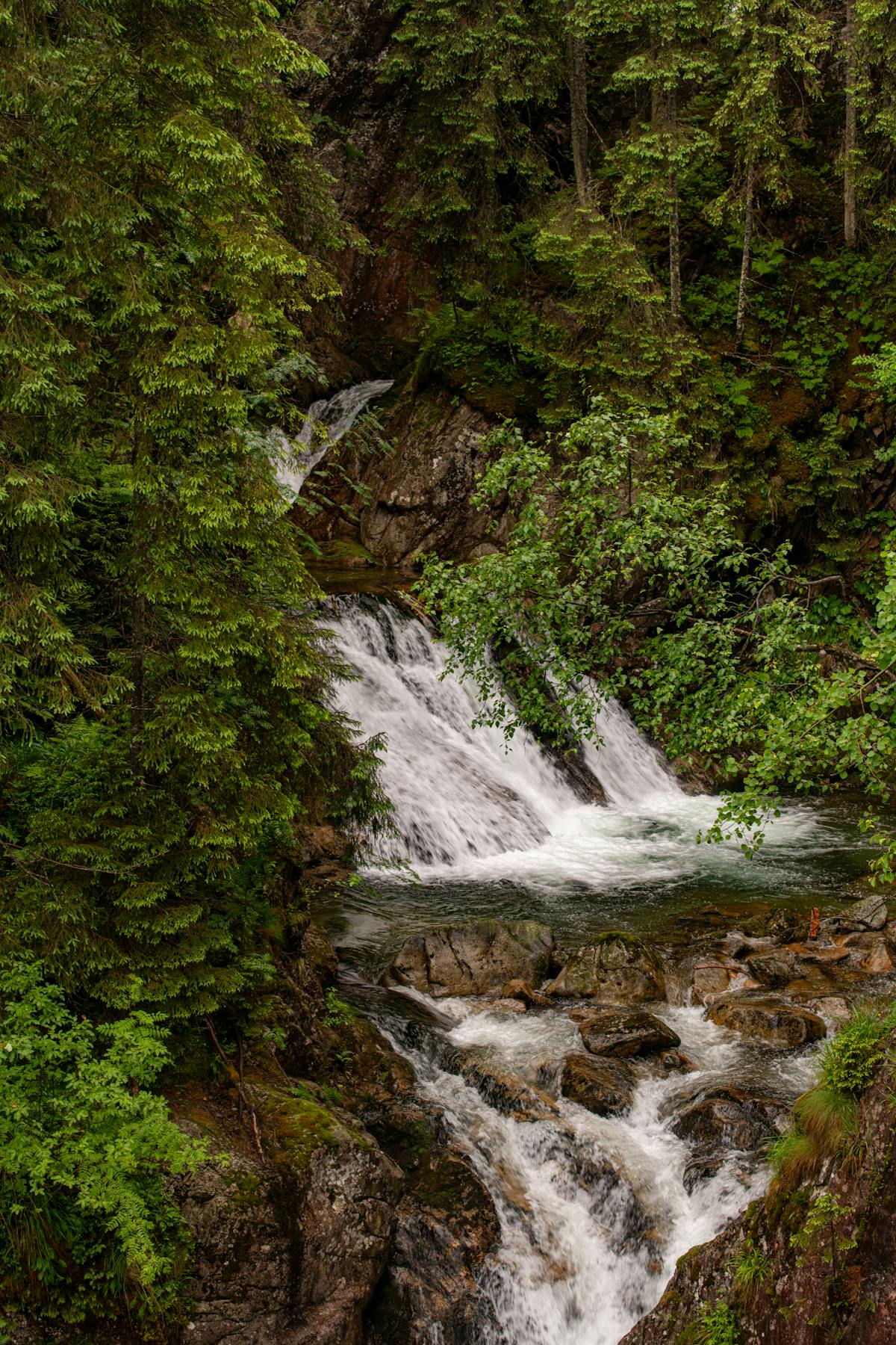 Waterfalls Pictures Photos, Download The BEST Free Waterfalls Pictures ...