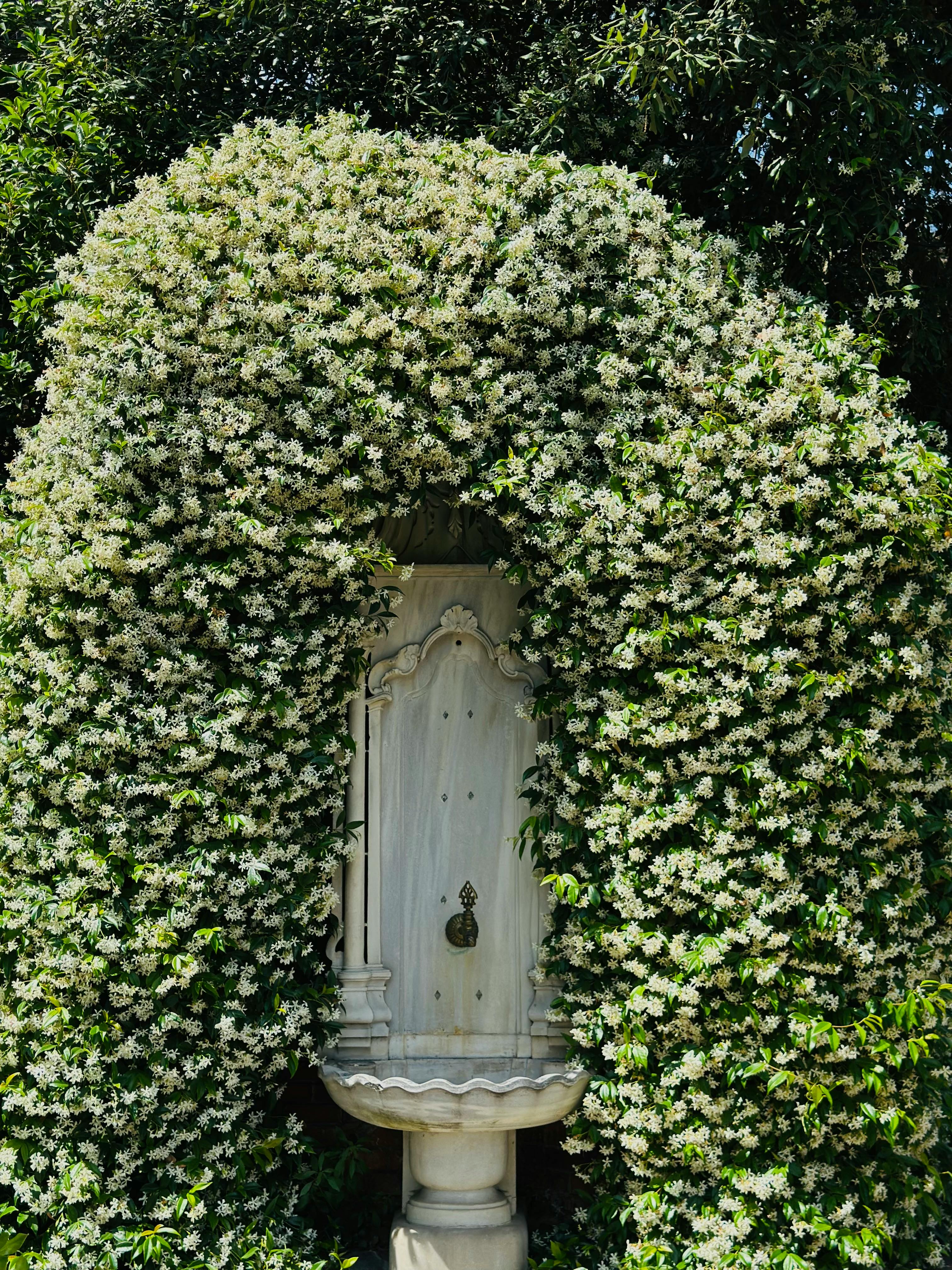 You Might Also Like These Psd Photos, Download The BEST Free You Might ...