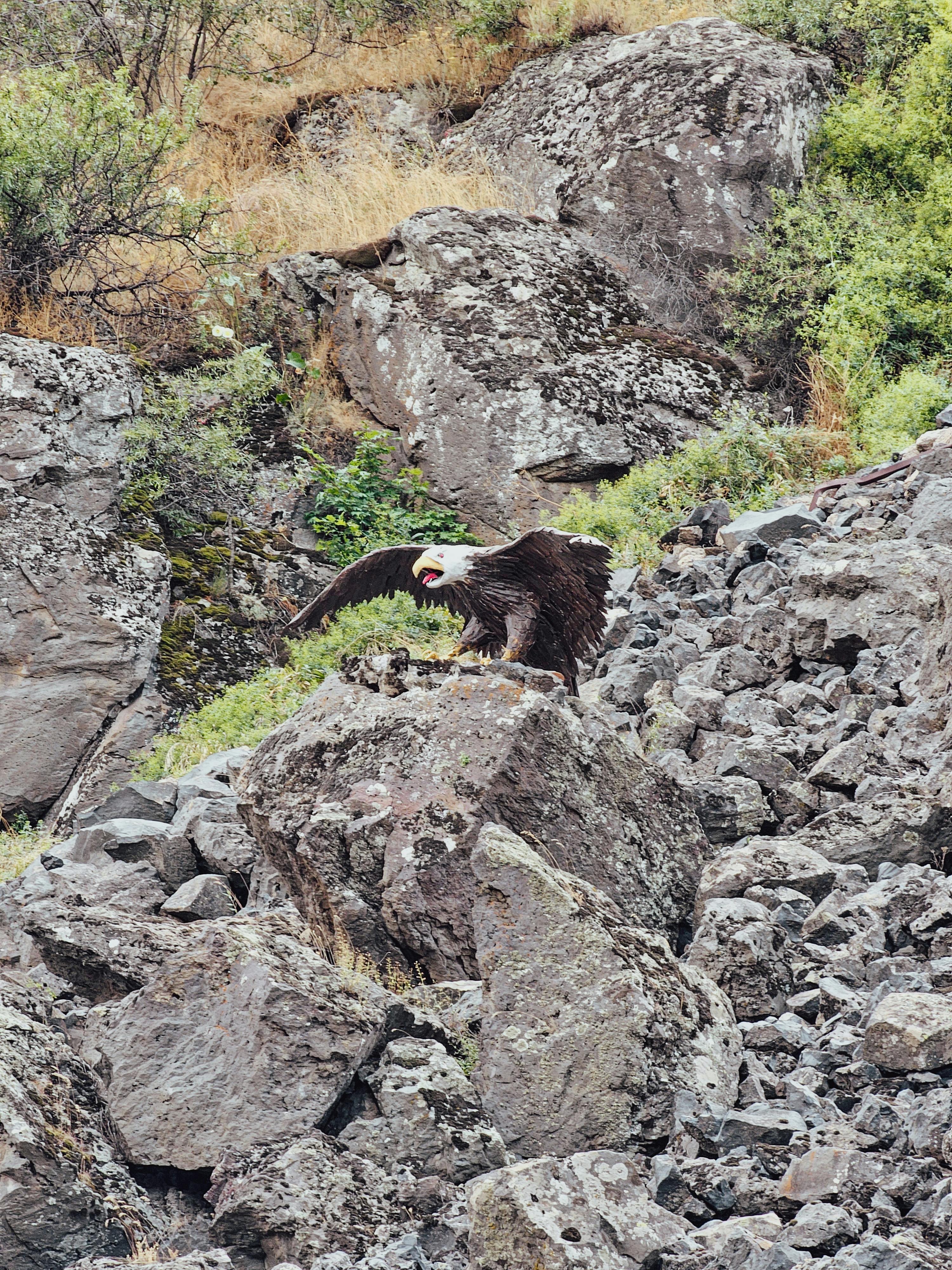 Apus De Soare Rocks Imagine Photos, Download The BEST Free Apus De ...