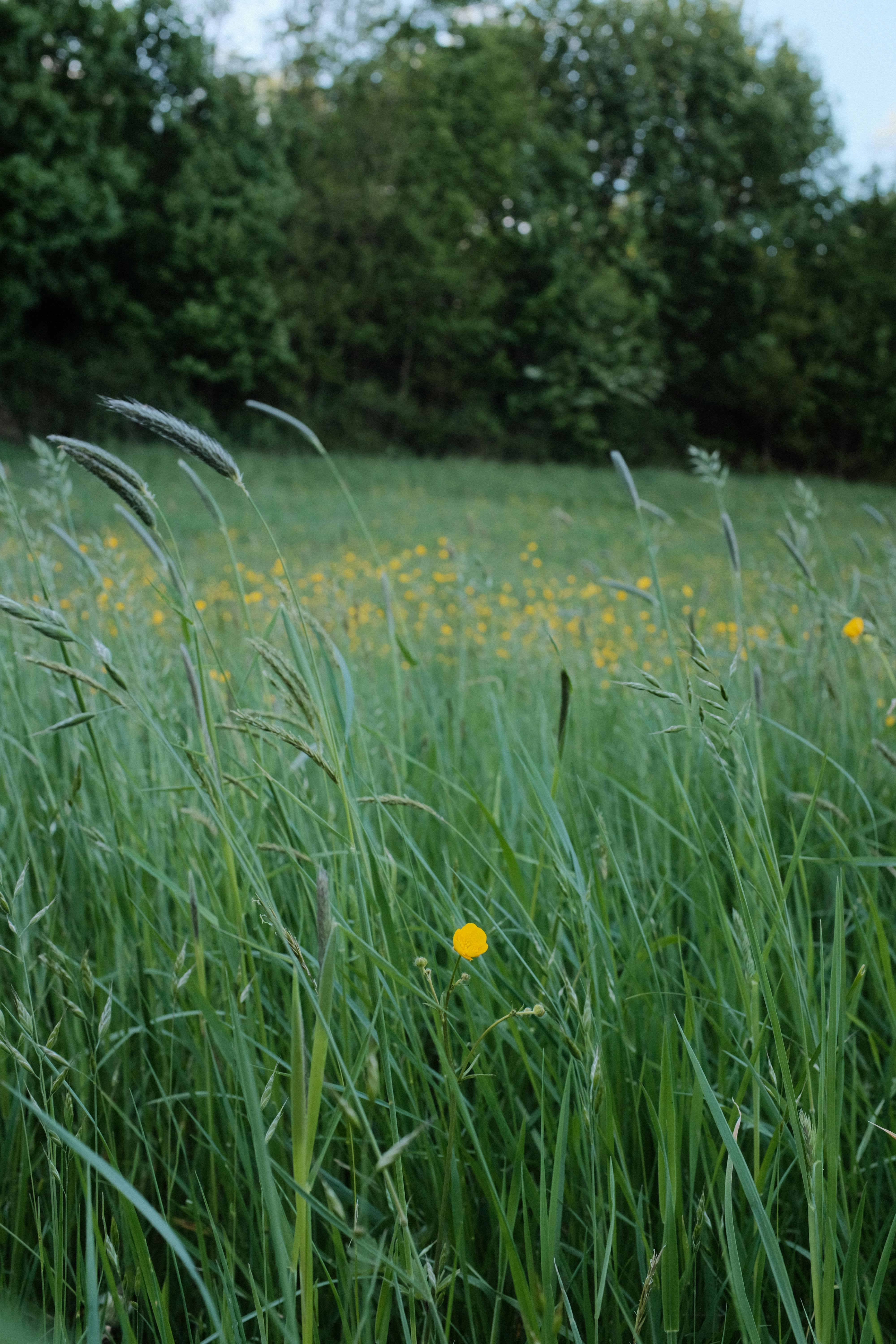 Prairie Scenery Photos, Download The BEST Free Prairie Scenery Stock ...