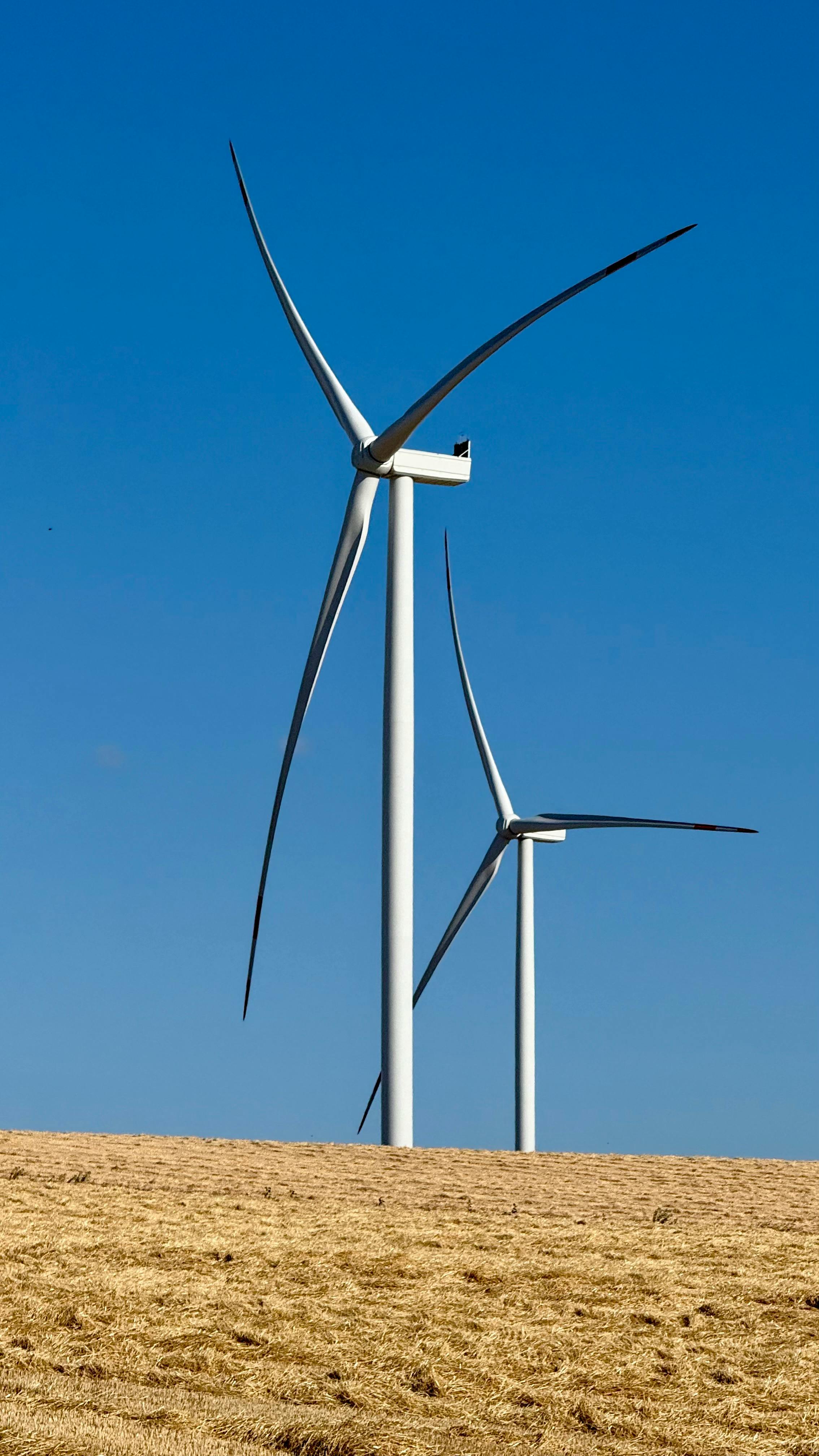 Wind Turbines on Hill Against Clear Sky · Free Stock Photo