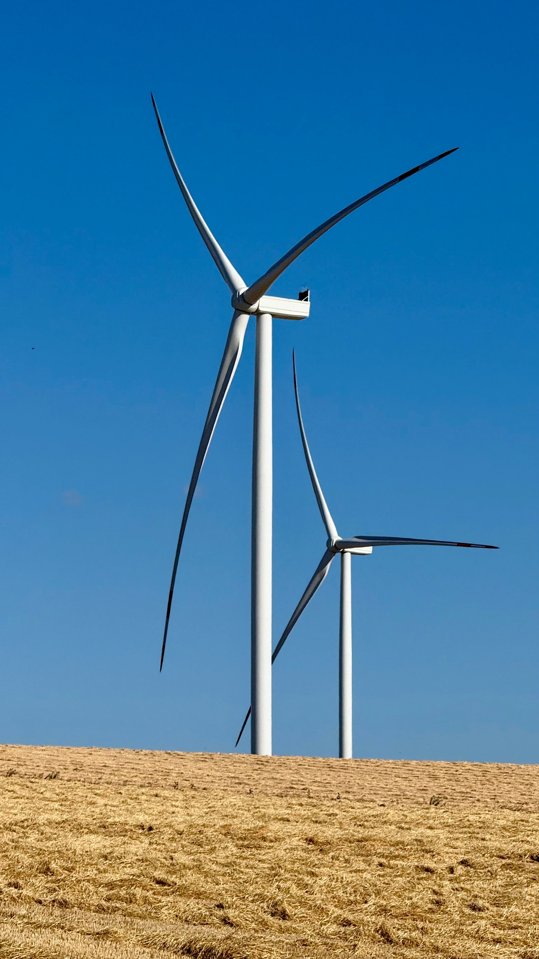Wind Turbines on Hill Against Clear Sky · Free Stock Photo