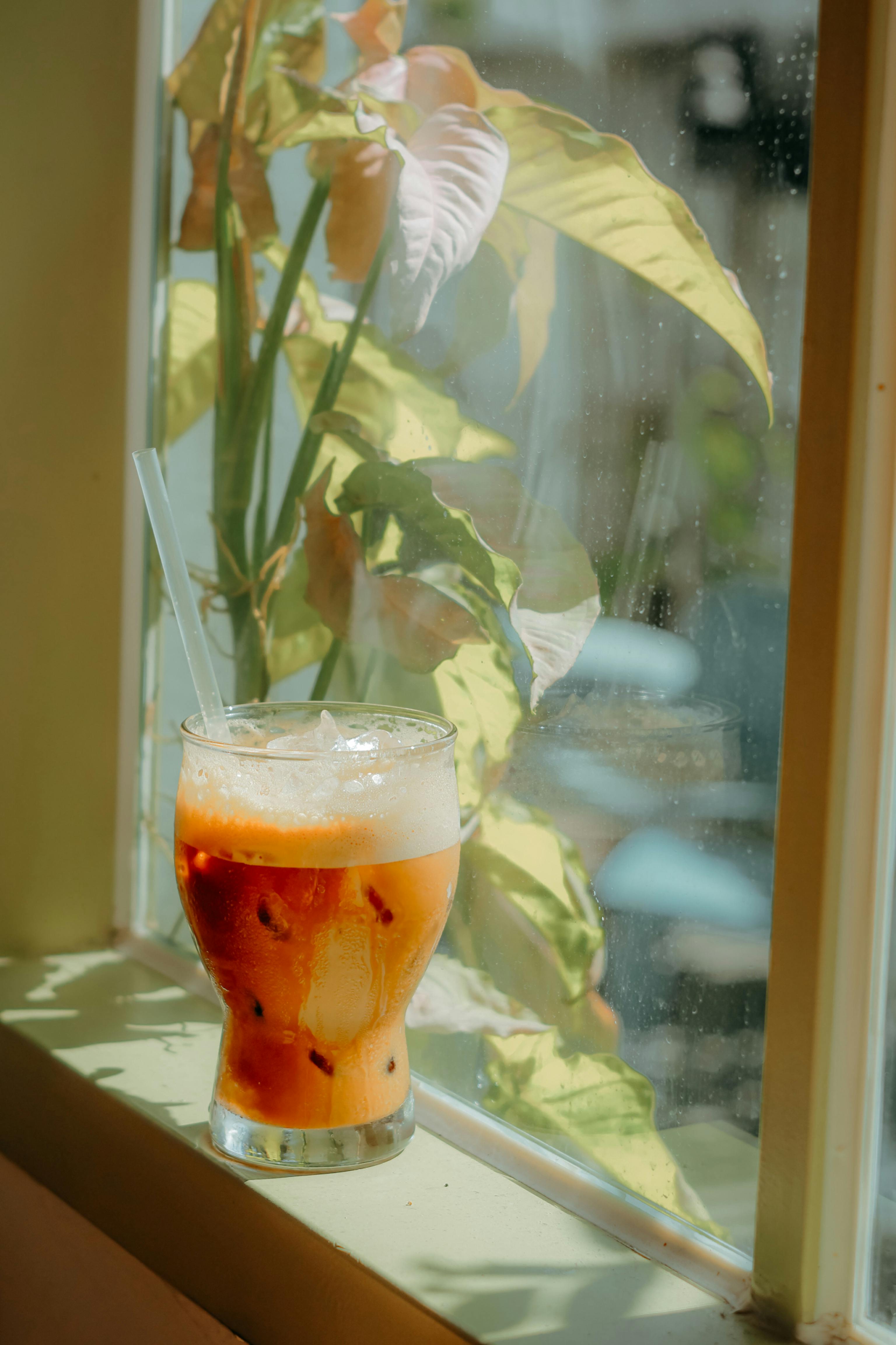 Cha++Falax Photos, Download The BEST Free Cha++Falax Stock Photos & HD ...