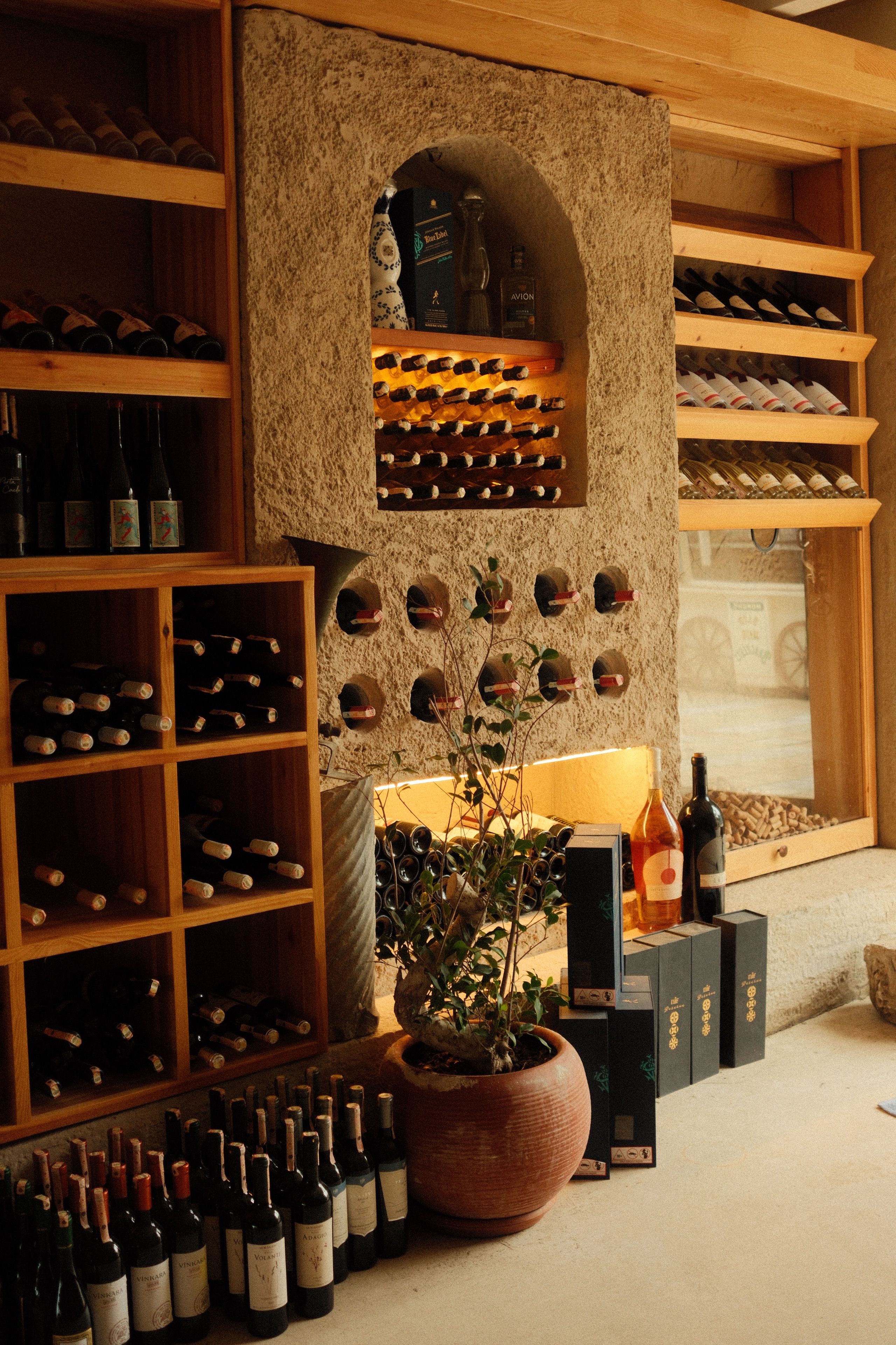 Elegant Wine Cellar with Bottles and Plant Decor · Free Stock Photo