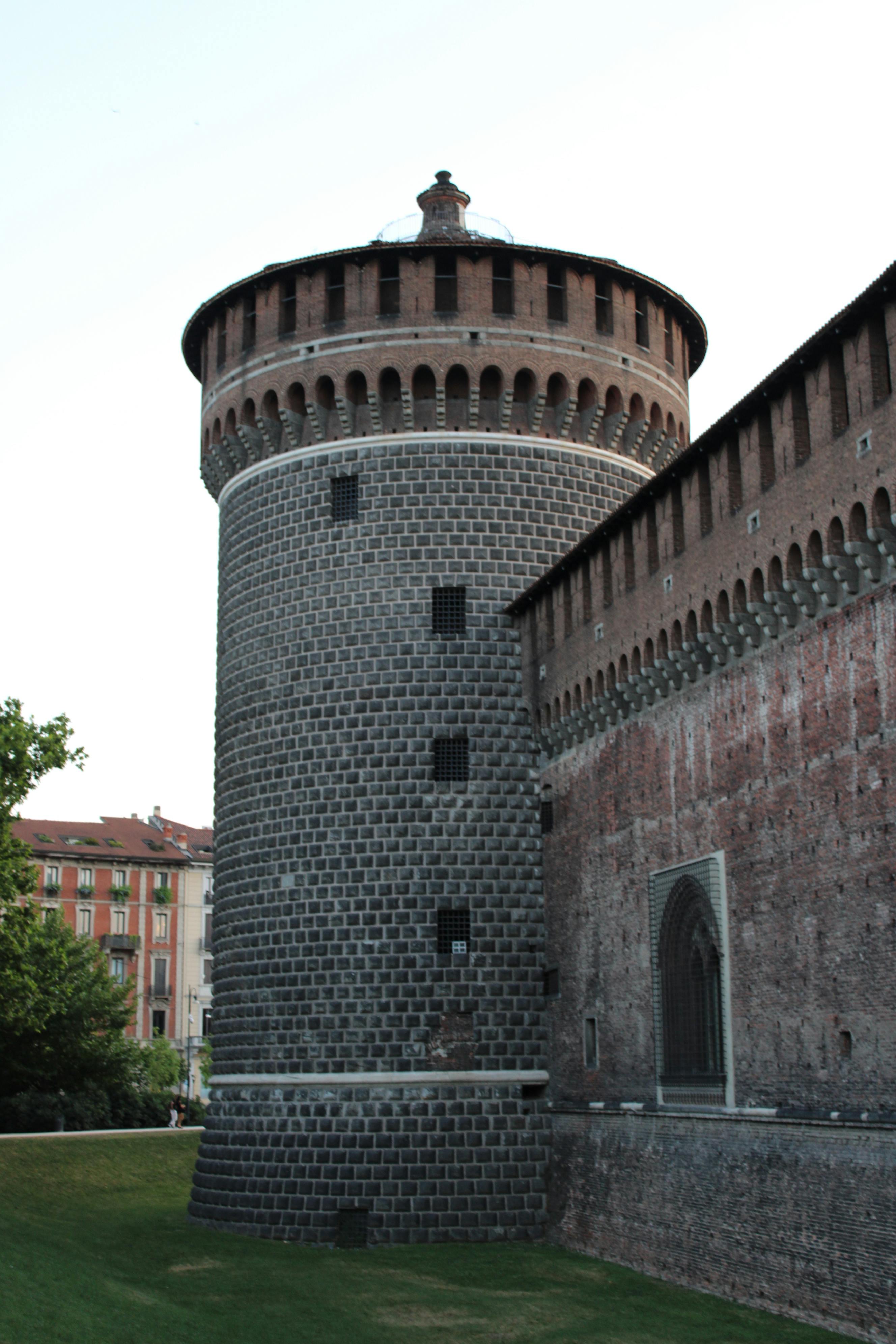 Italian Brainrot Photos, Download The BEST Free Italian Brainrot Stock ...