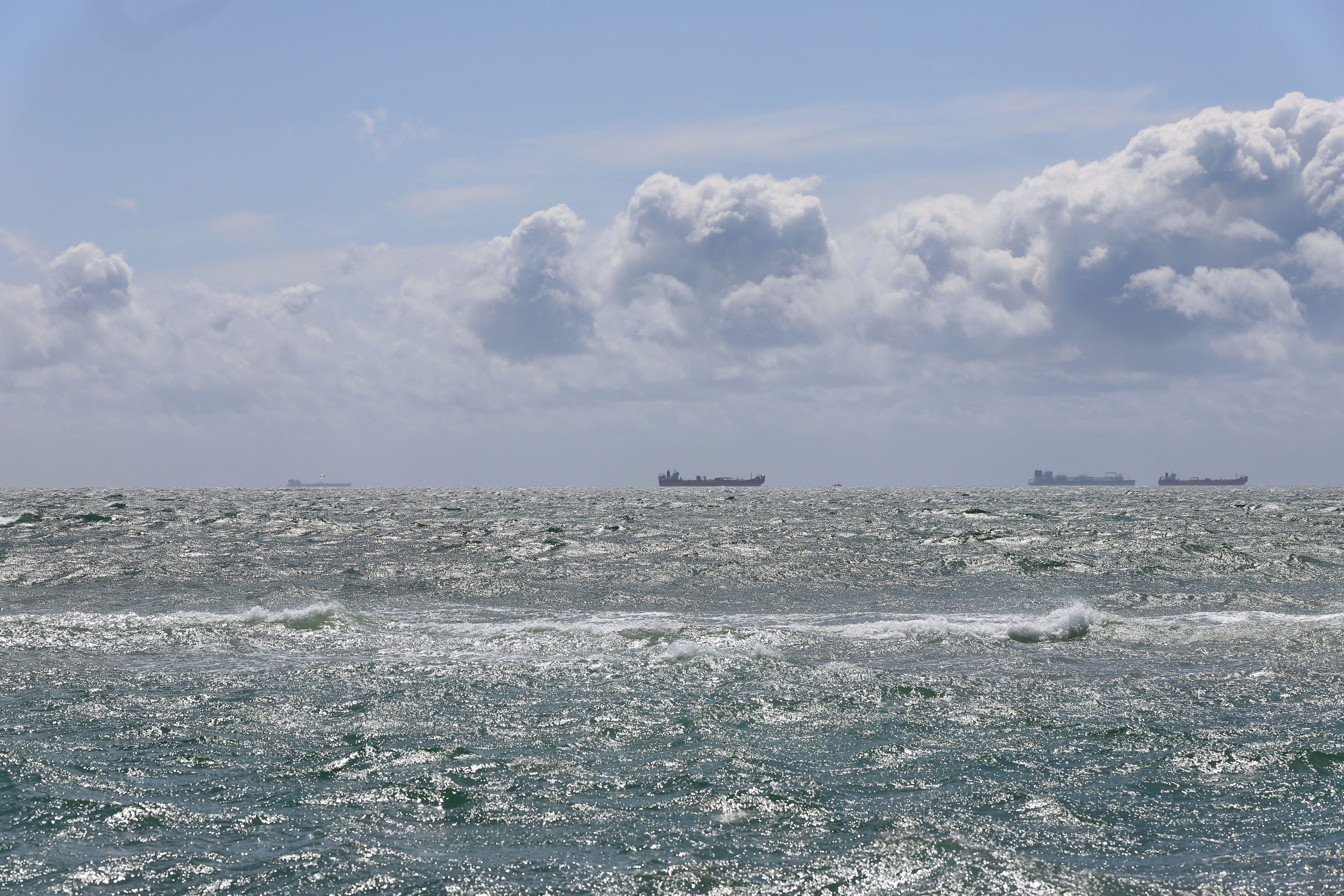 Freighters on the Sparkling Danish Sea · Free Stock Photo
