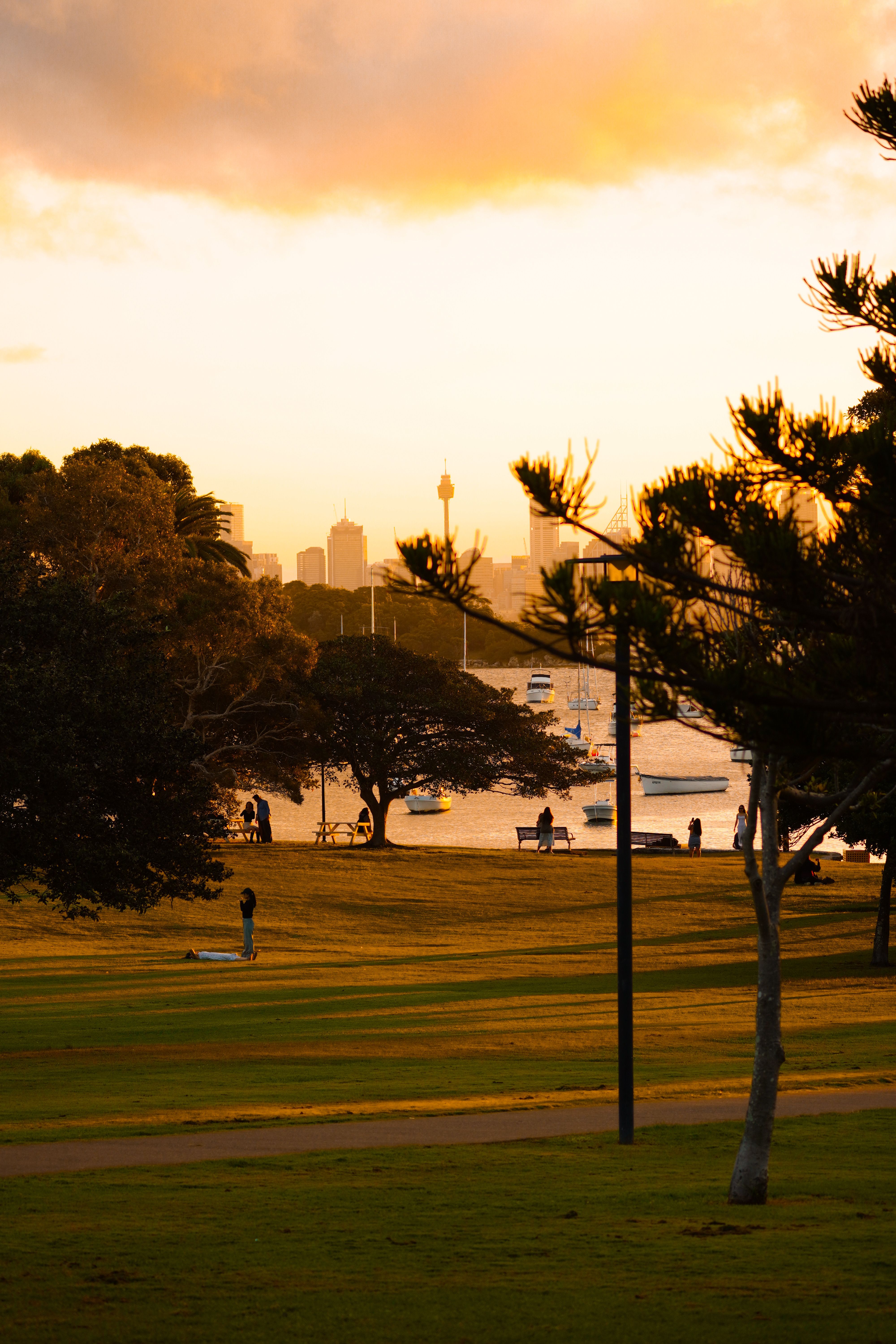 Golden Hour in Park with Sydney Skyline View · Free Stock Photo
