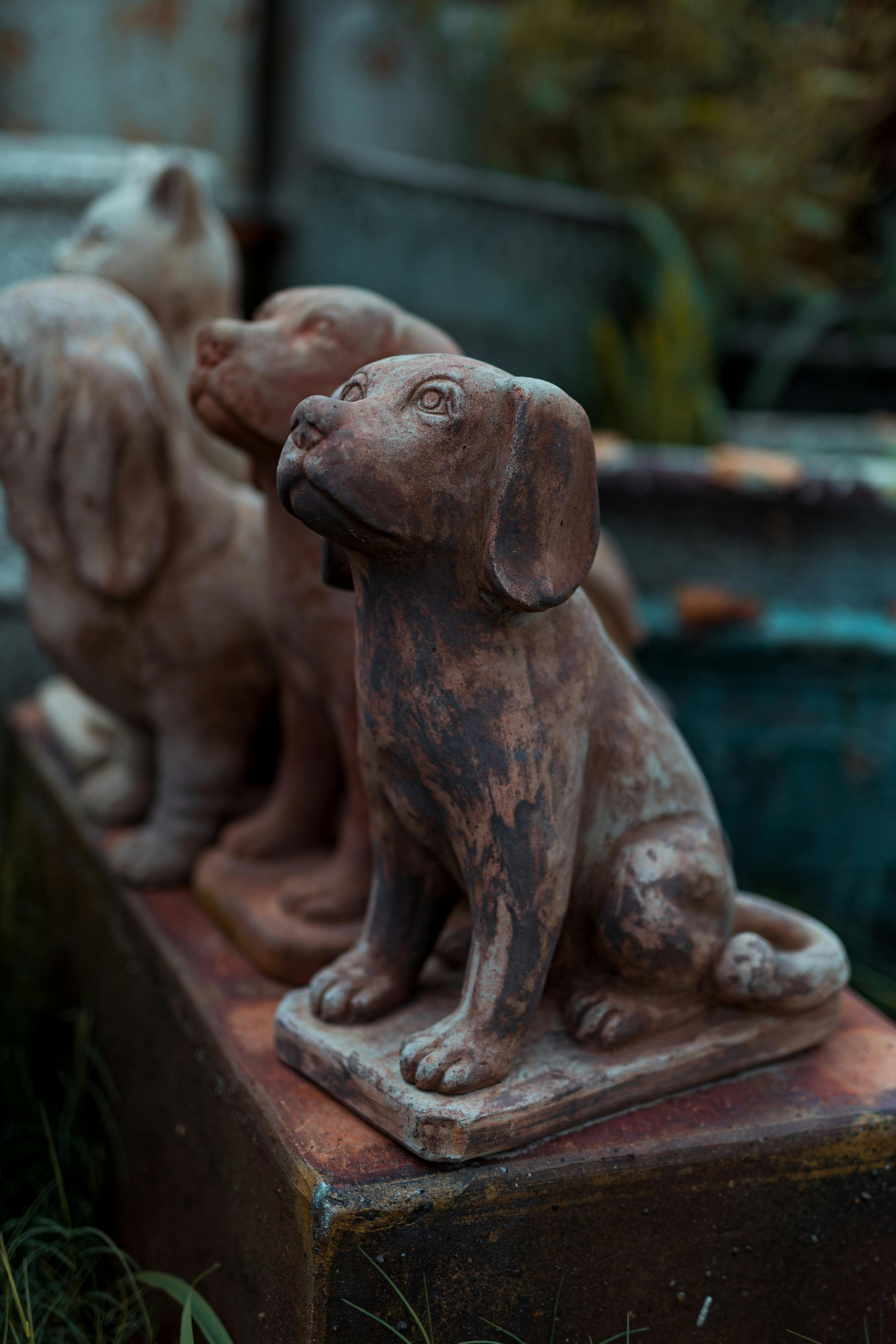 Rustic Ceramic Dog Statues in Bien Hoa · Free Stock Photo
