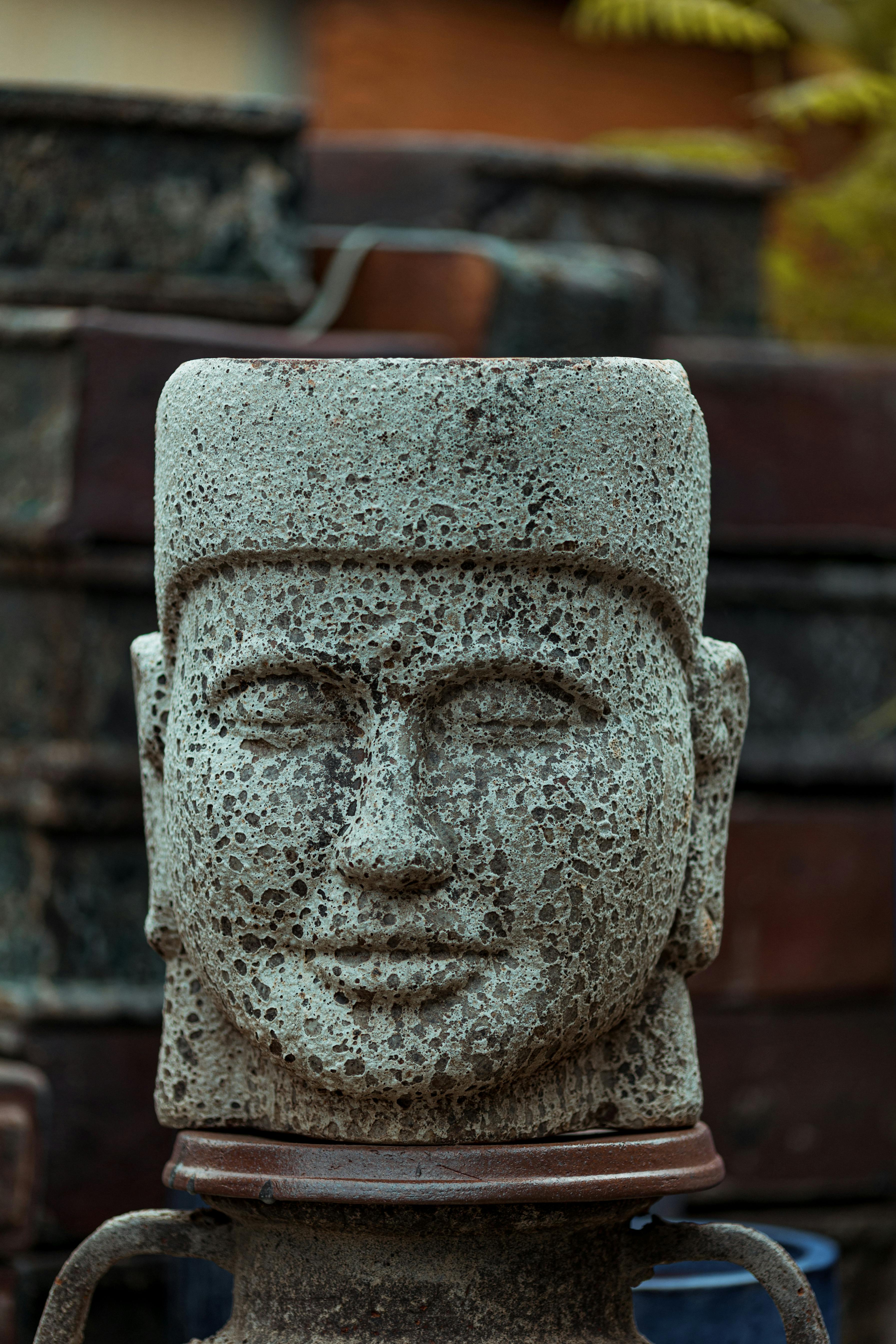 Cringe Face Photos, Download The BEST Free Cringe Face Stock Photos & HD Images