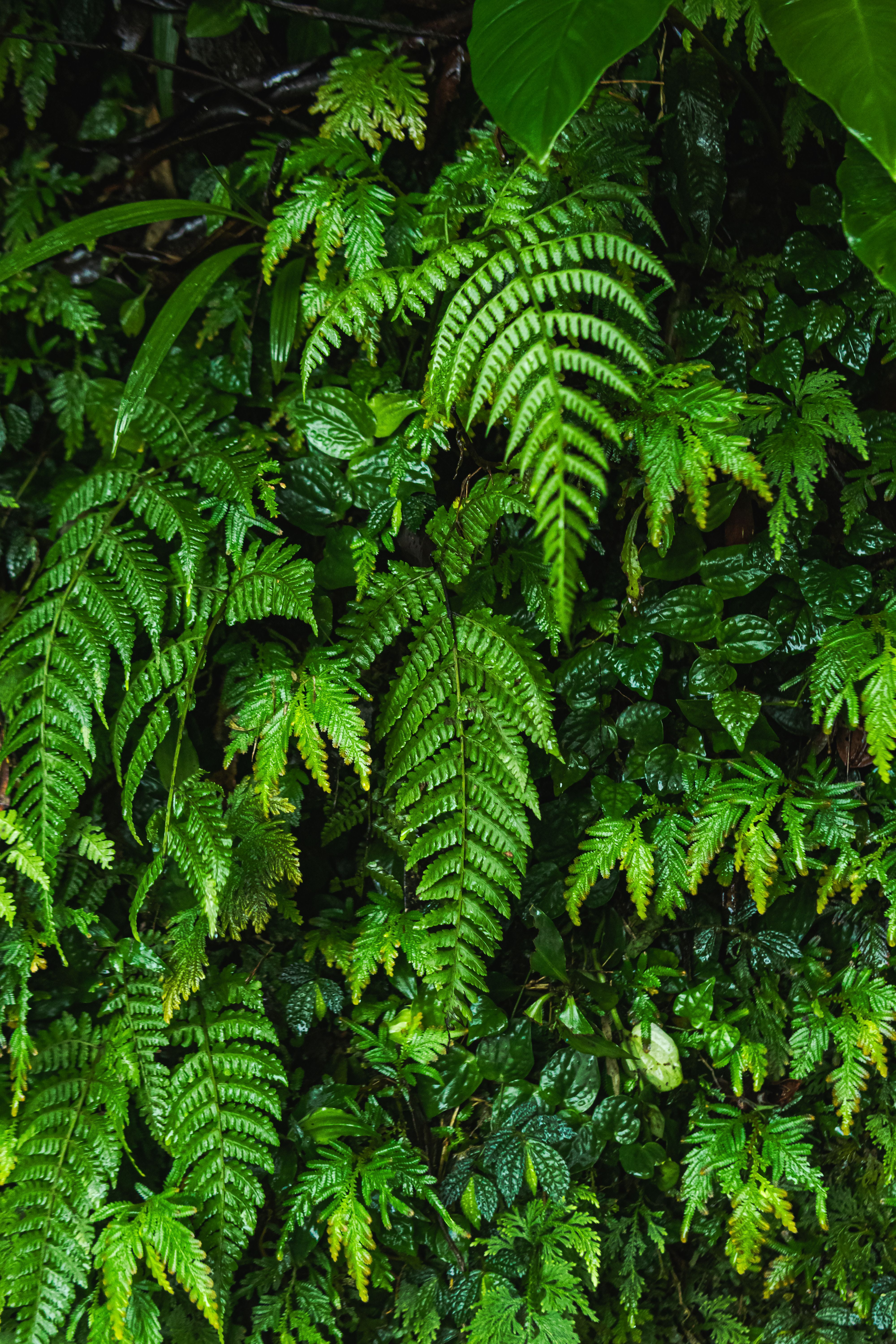 Damp ไฟ Photos, Download The BEST Free Damp ไฟ Stock Photos & HD Images