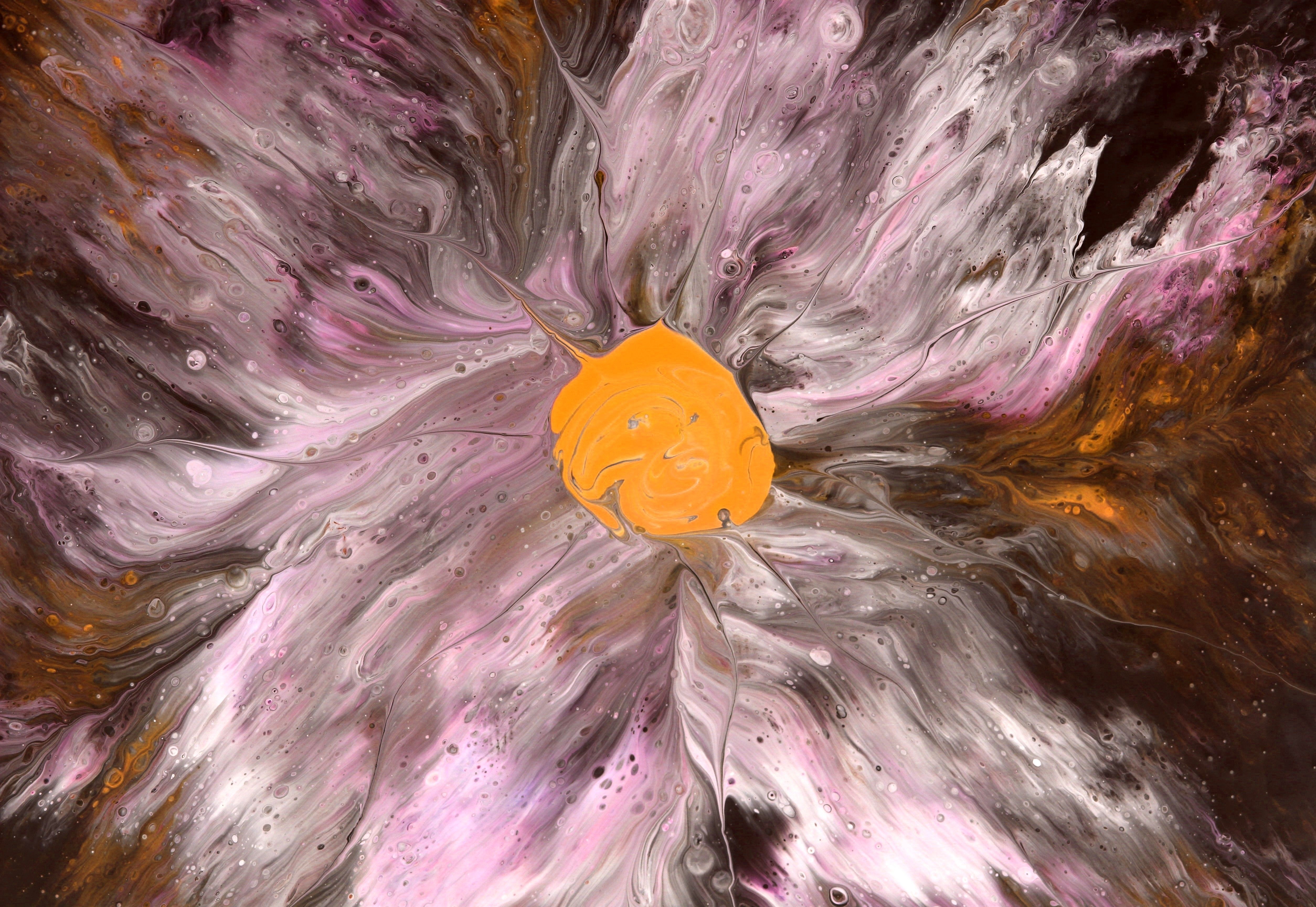 Art Painting Photos, Download The BEST Free Art Painting Stock Photos ...
