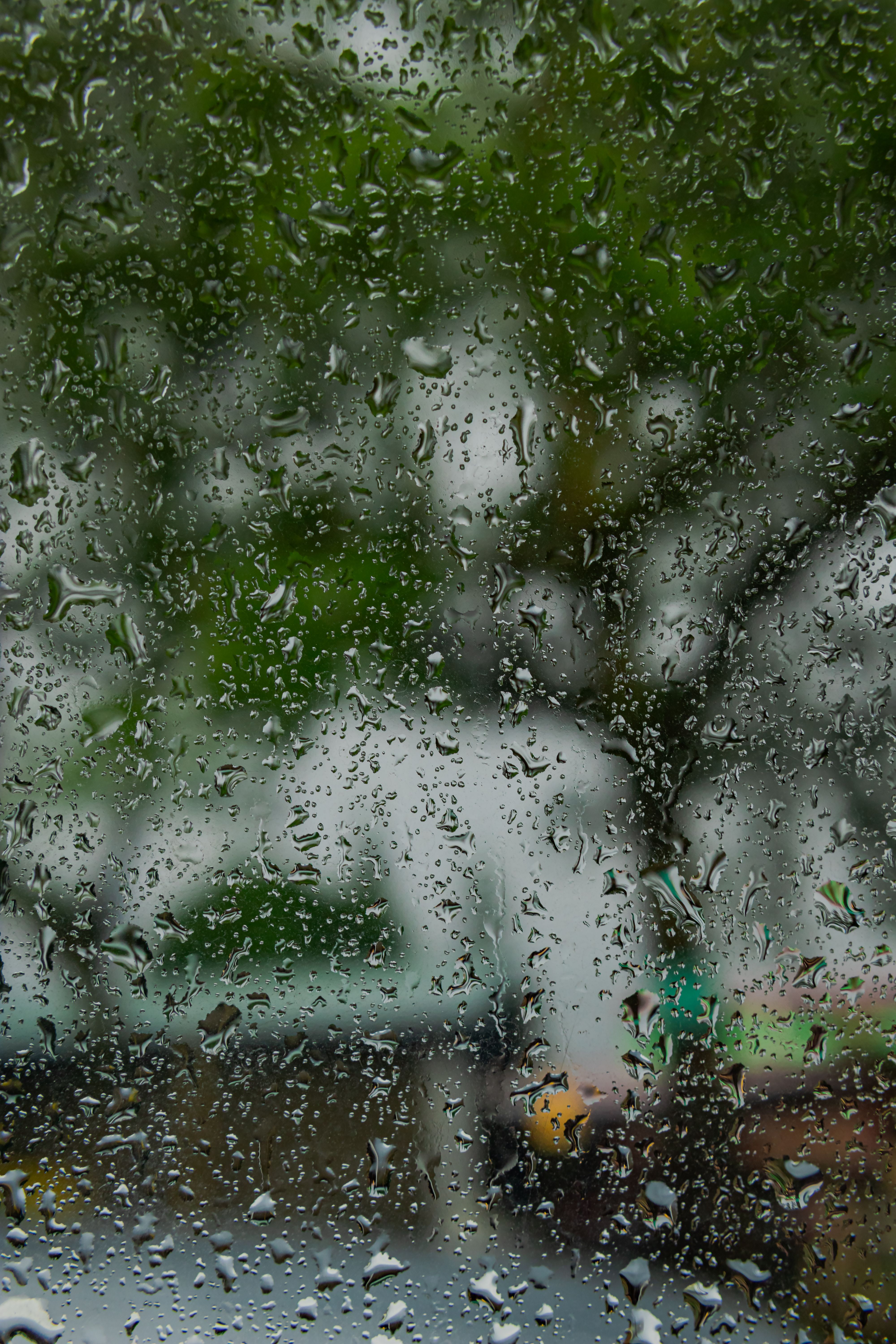 View of Trees through a Wet Window during a Rainfall · Free Stock Photo