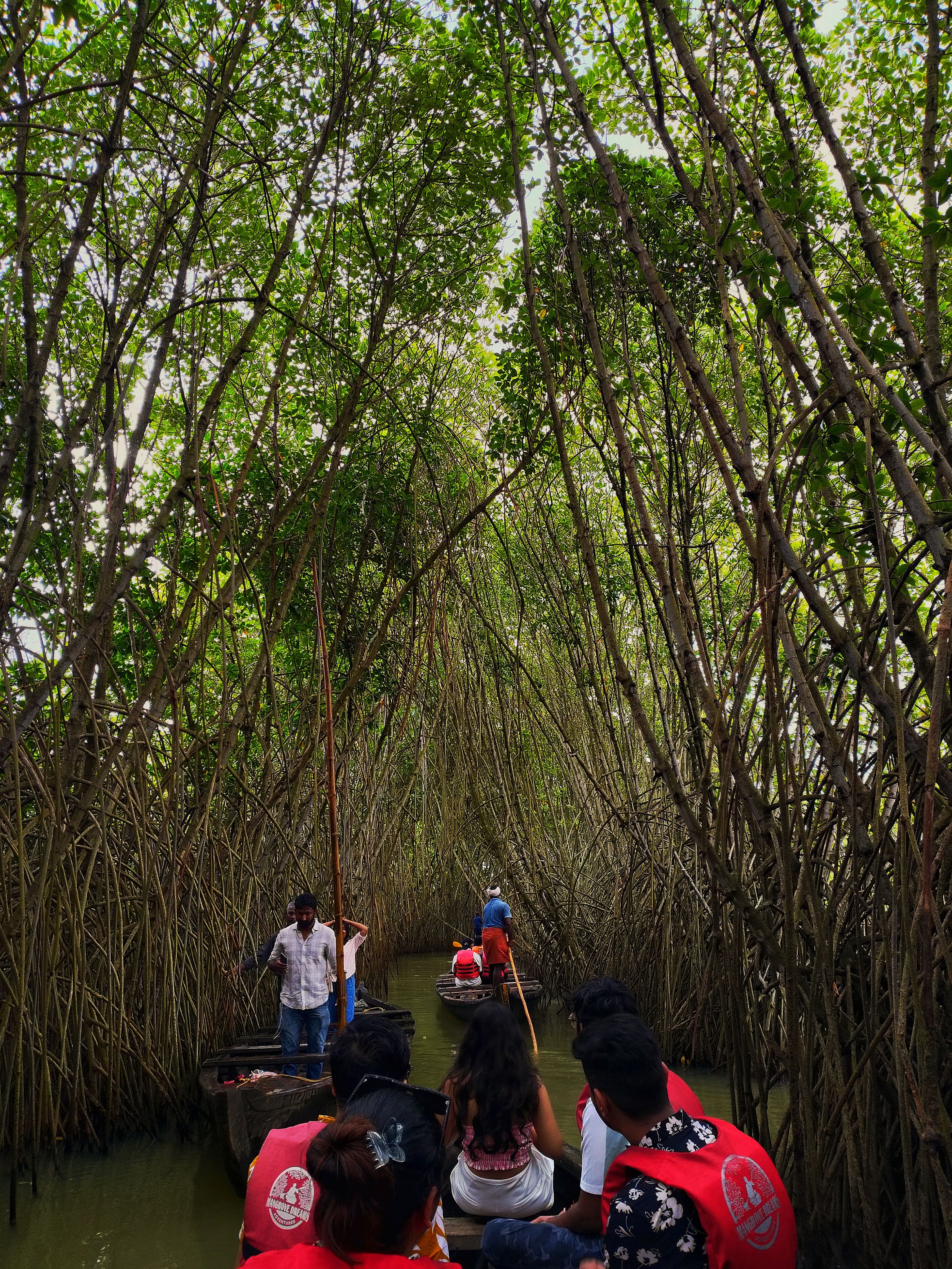 Mangrove Boat Tour in Kerala, India · Free Stock Photo