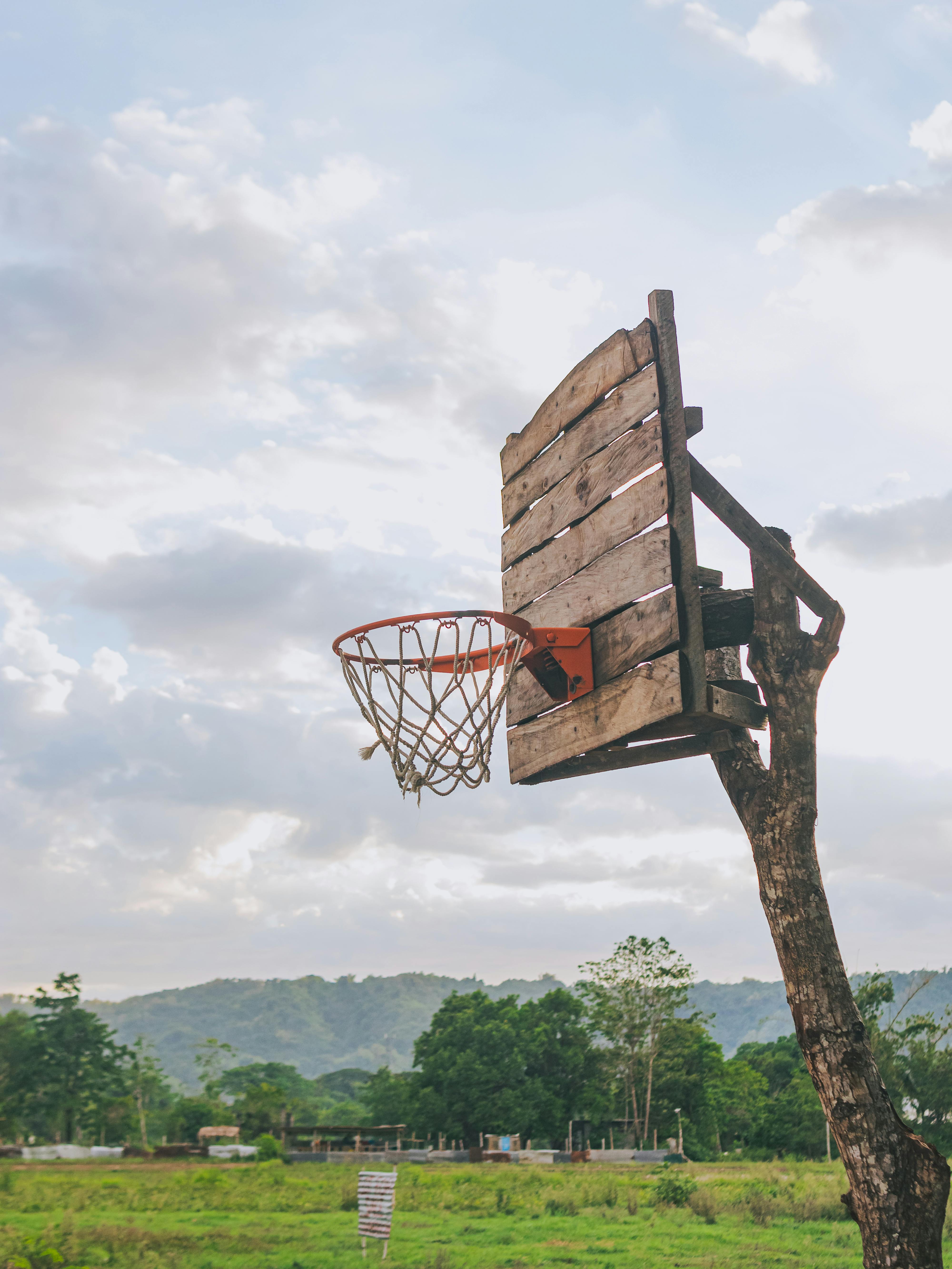 Basketball Pfp Photos, Download The BEST Free Basketball Pfp Stock ...