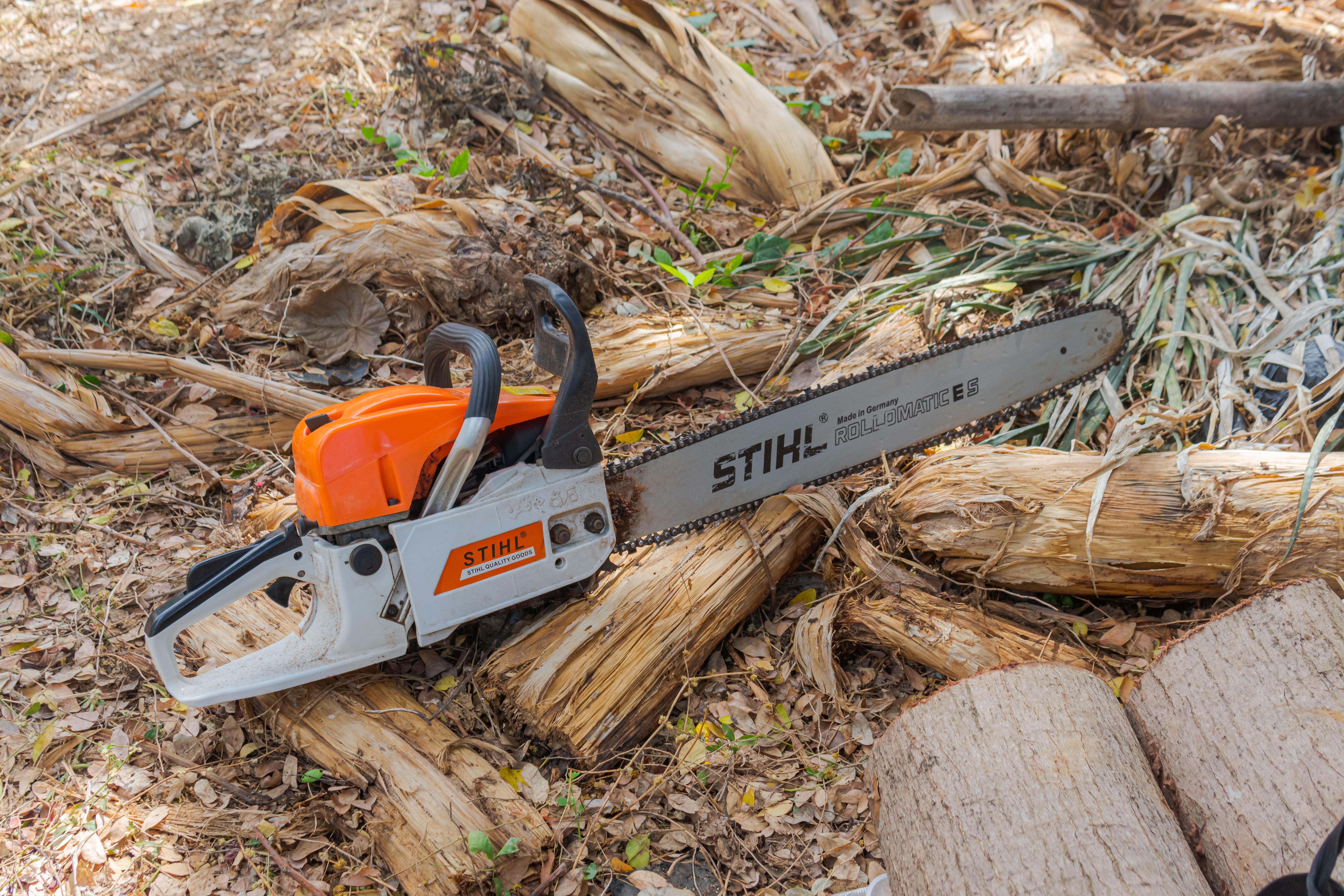 Chainsaw on Dry Leaves in Forest Clearing · Free Stock Photo
