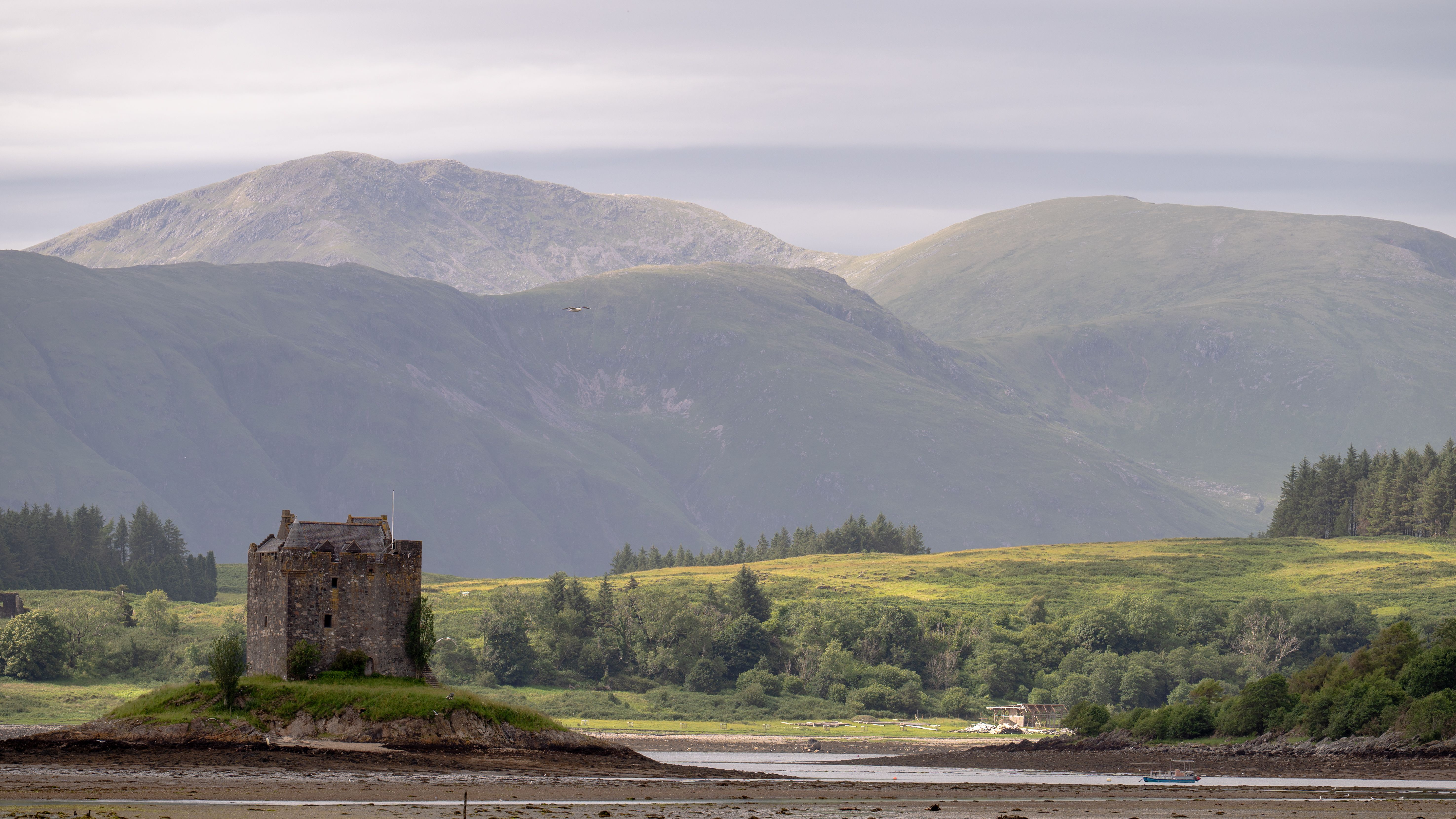Stunning View of Castle Stalker in Scotland · Free Stock Photo