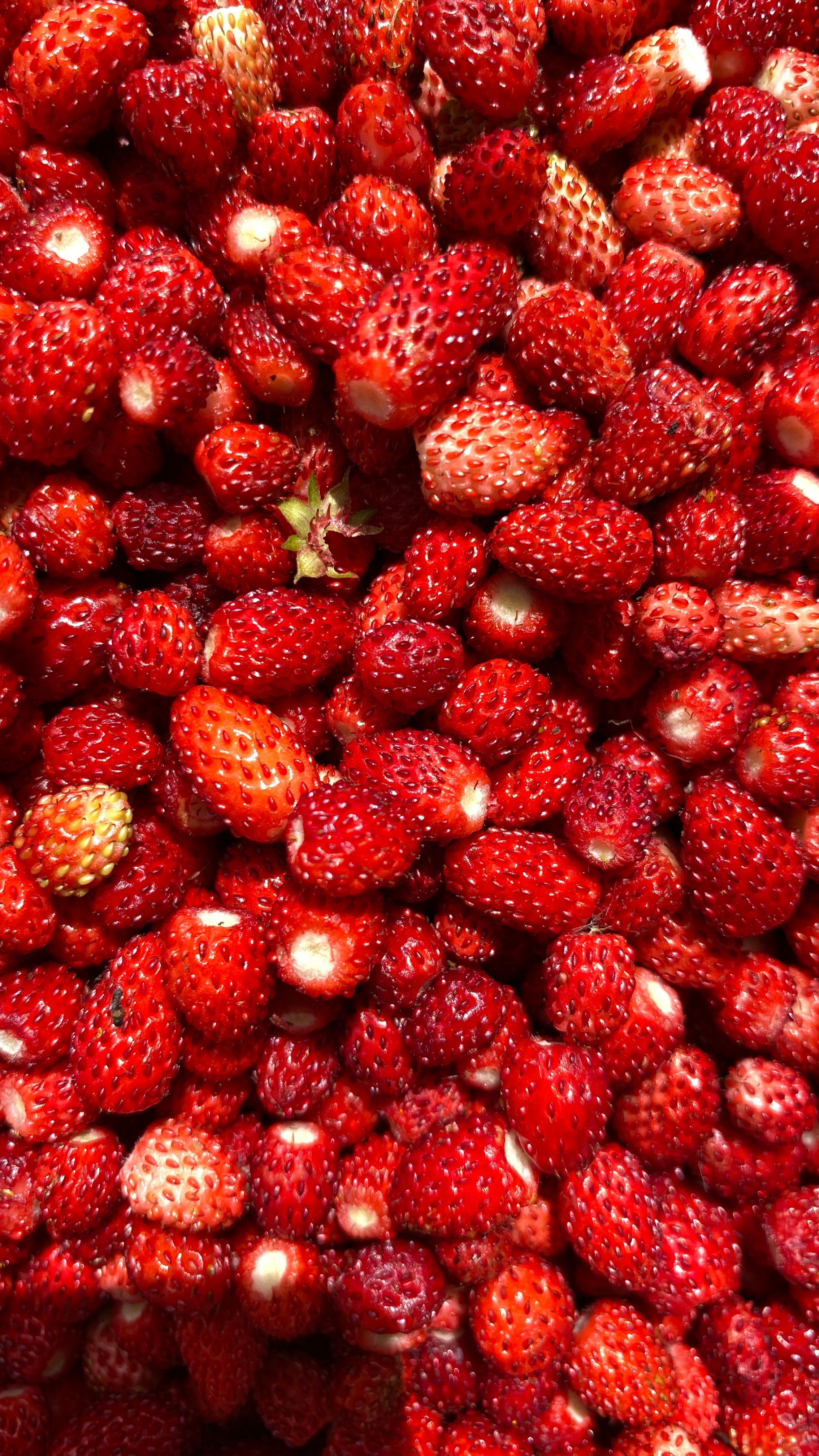 500 000+ Fond De Fraise banque d’images et photos libres de droit ...