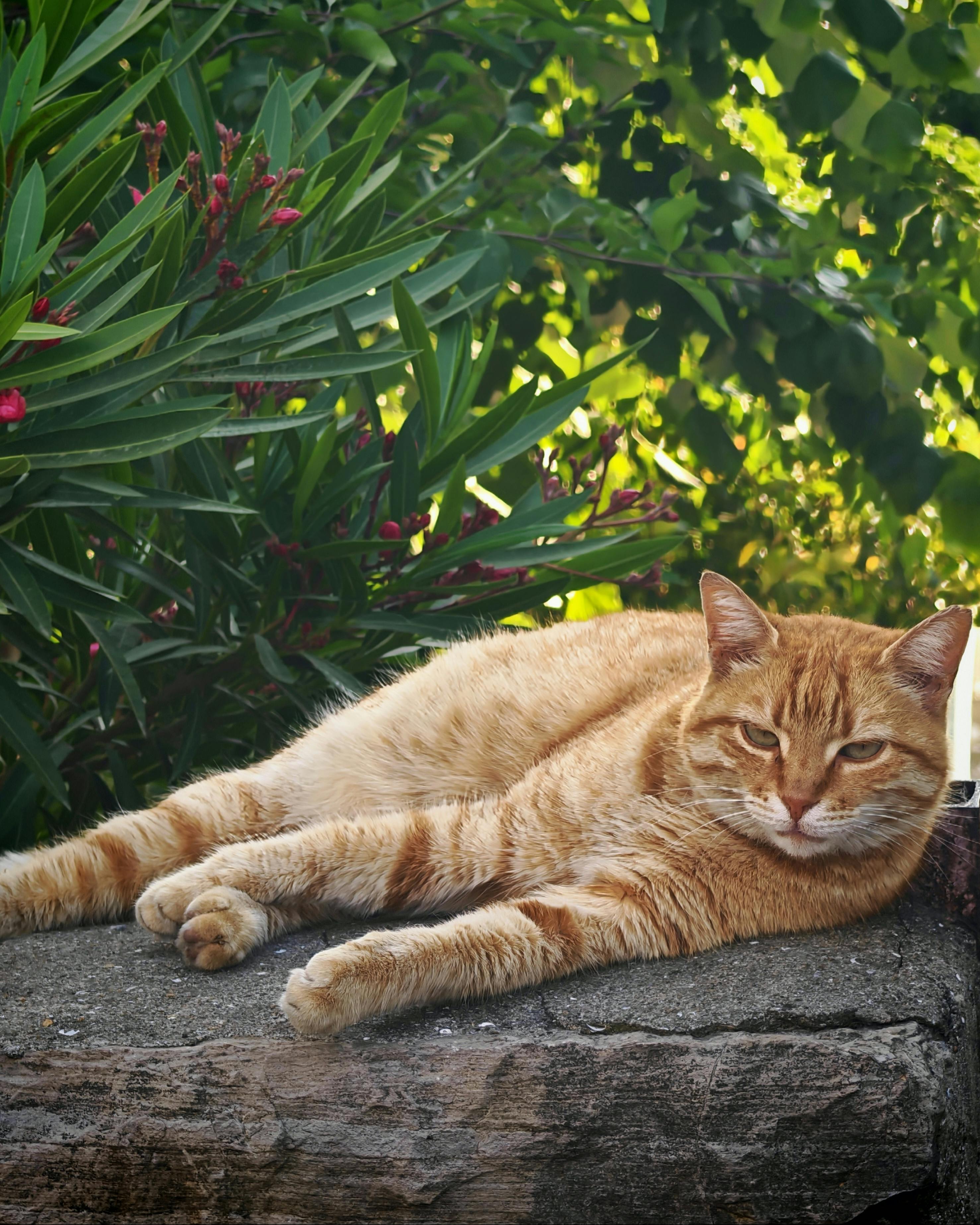 Samundar+Image Photos, Download The BEST Free Samundar+Image Stock ...